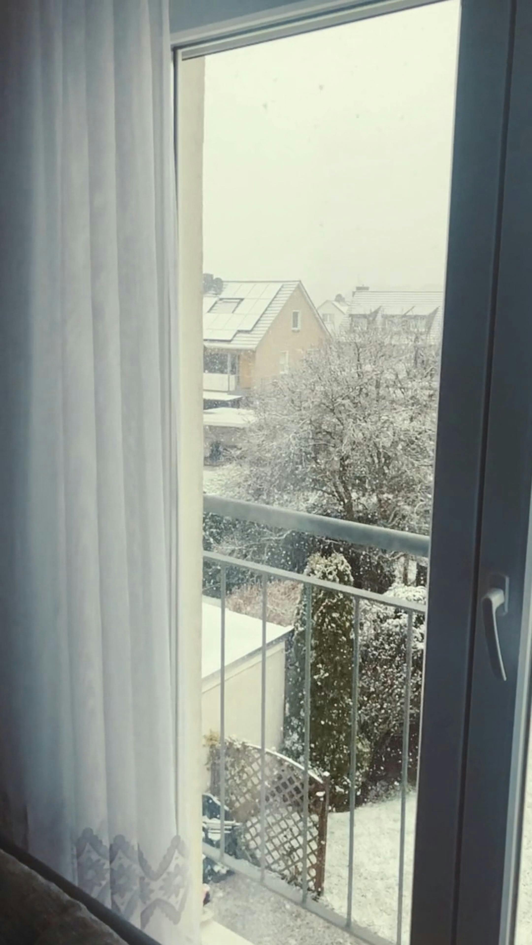 Window View of Snow Falling in Slow Motion Free Stock Video Footage ...