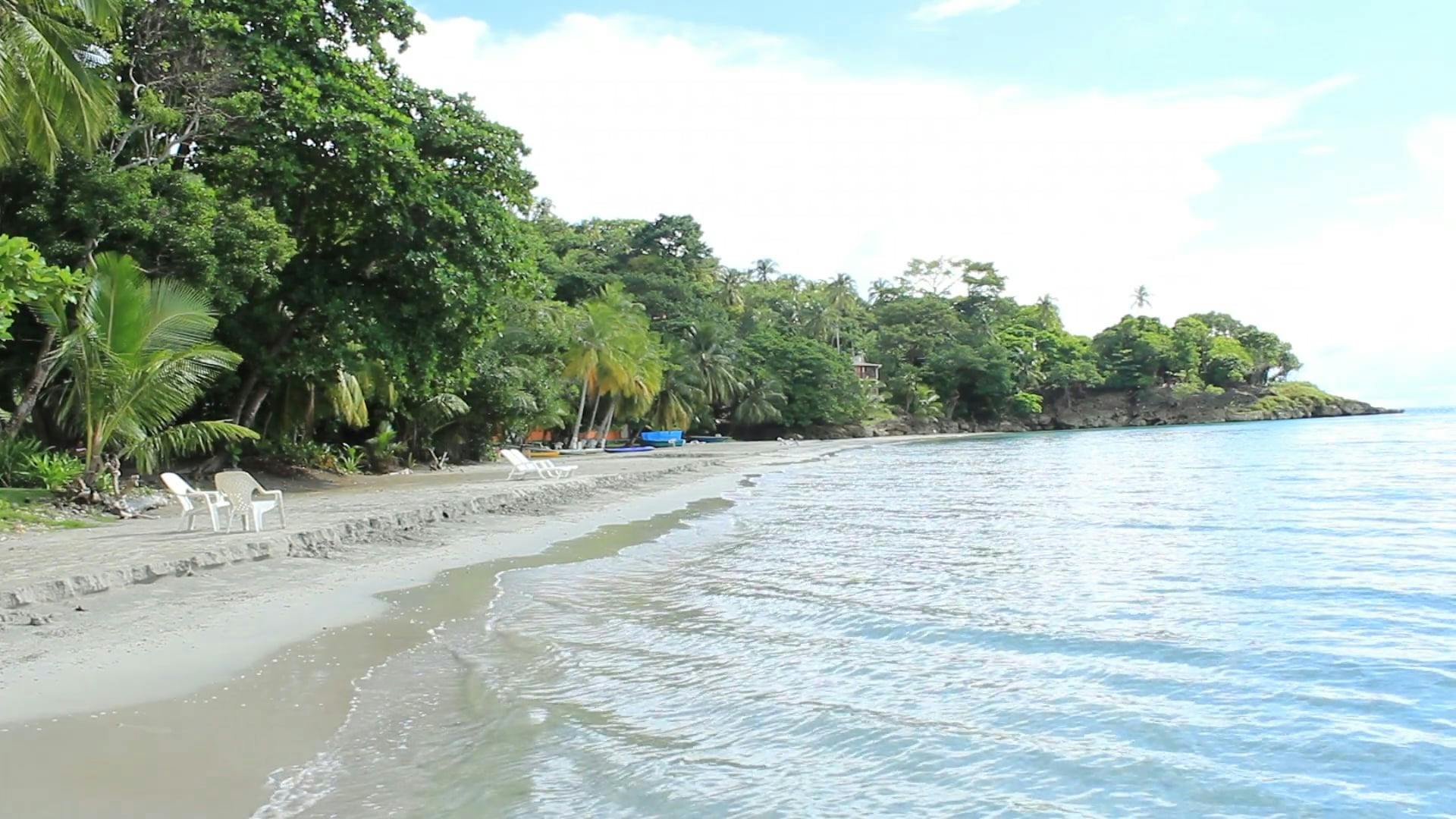 A Video Footage of Beautiful Beach Free Stock Video Footage, Royalty ...