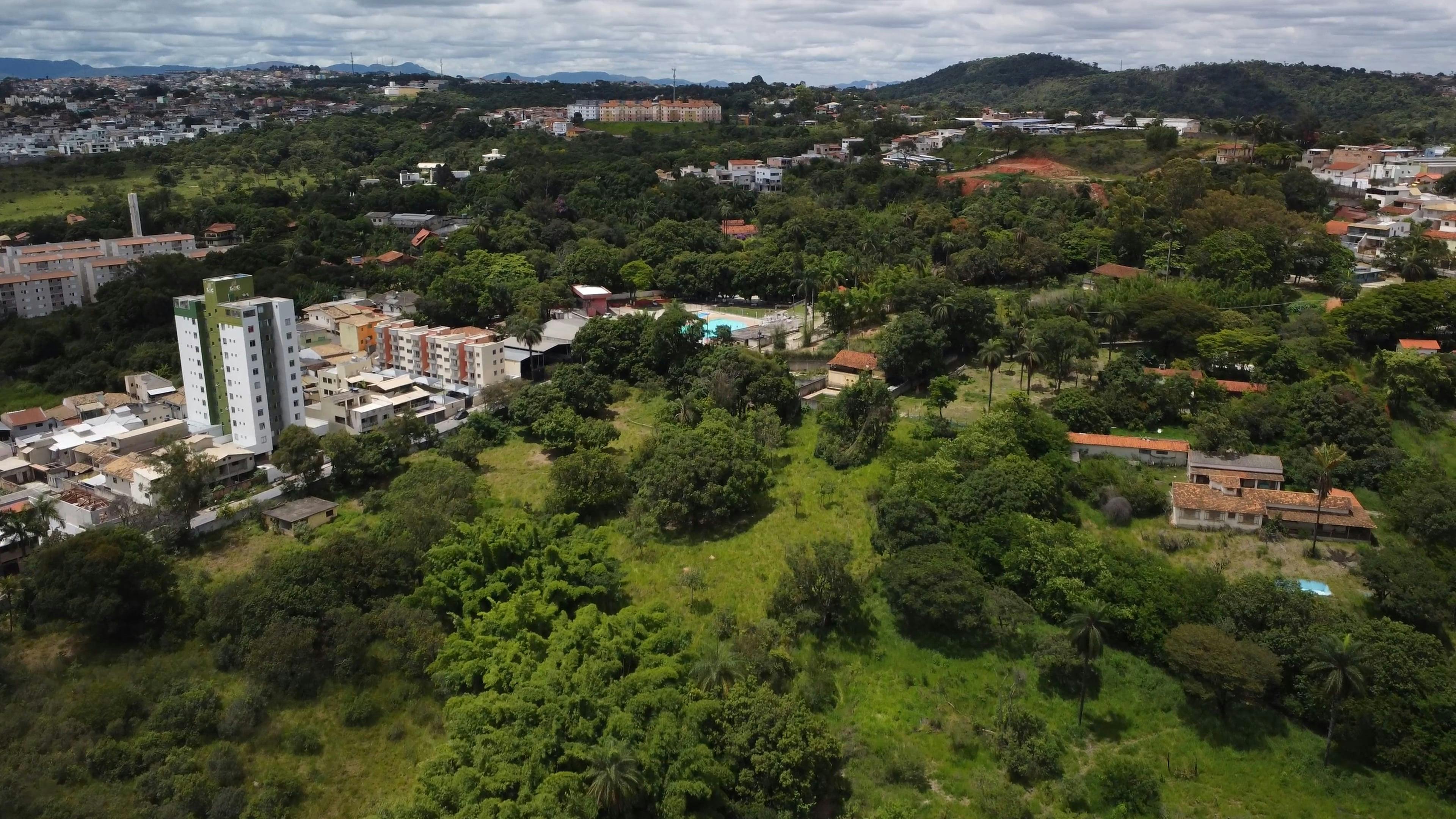 An Aerial Footage of City Buildings Between Green Trees Free Stock ...