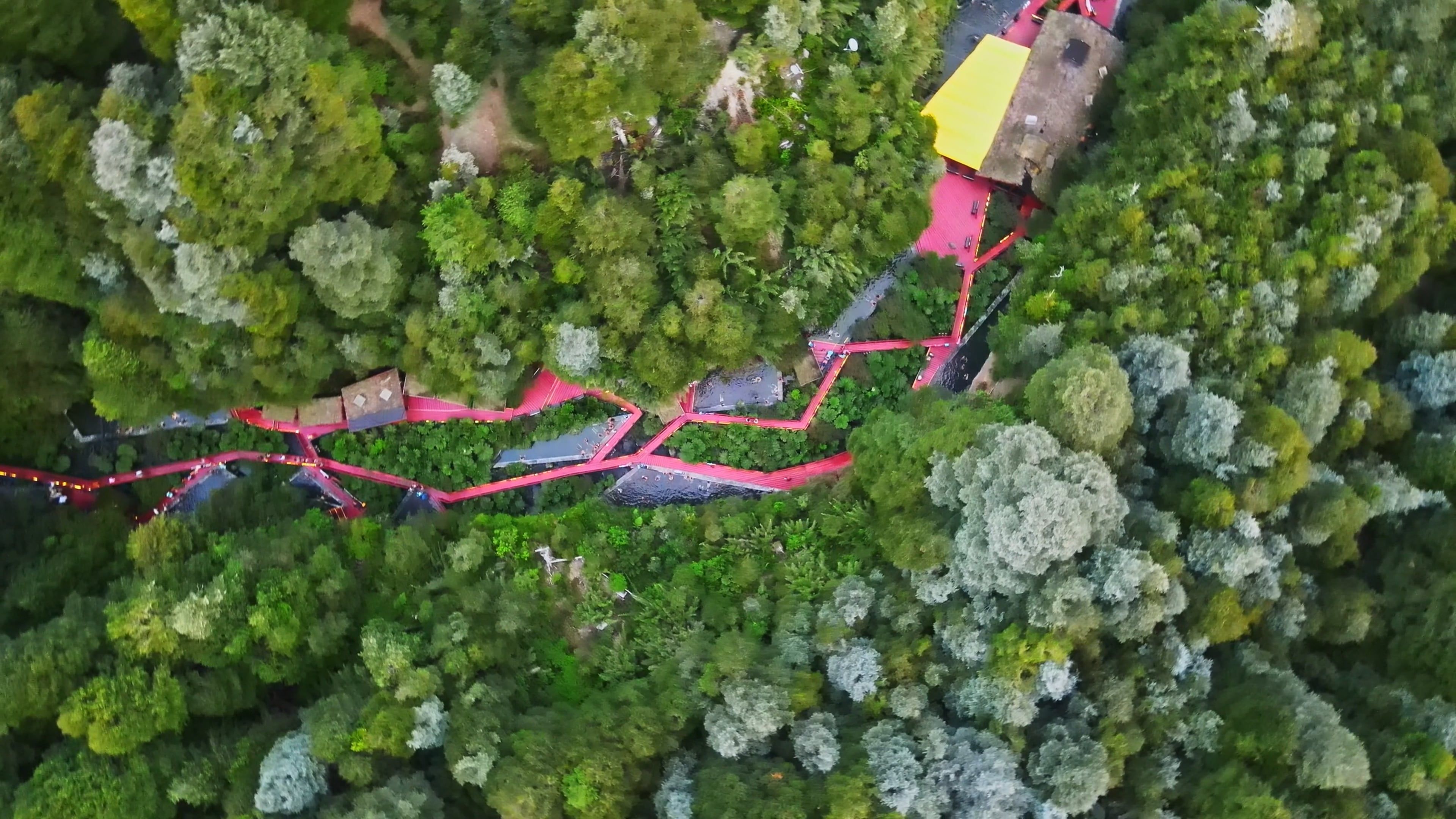 Swimming Pools in the Middle of a Forest Free Stock Video Footage ...
