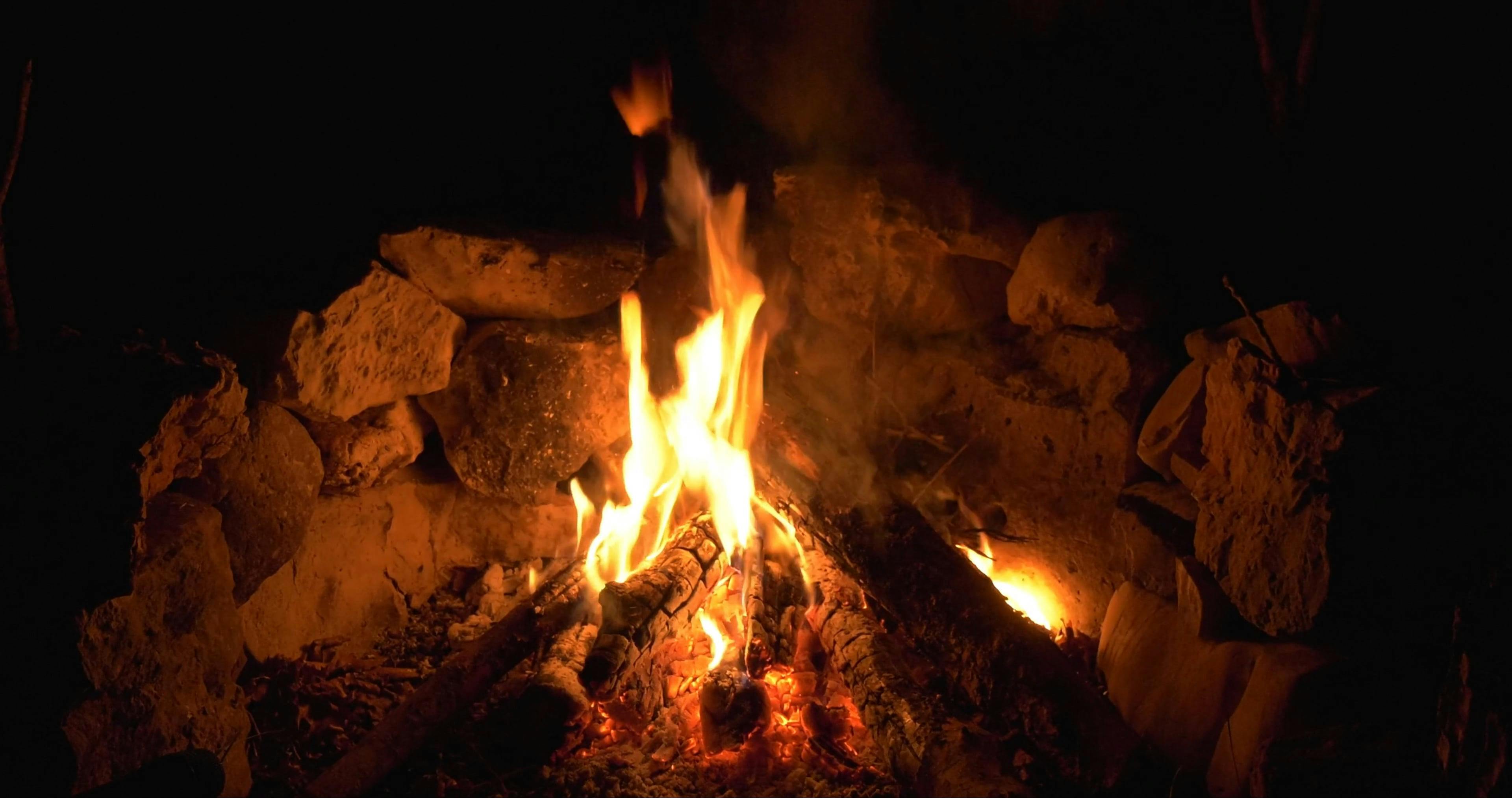 Blazing Campfire Outdoors in Nature Scene Free Stock Video Footage ...