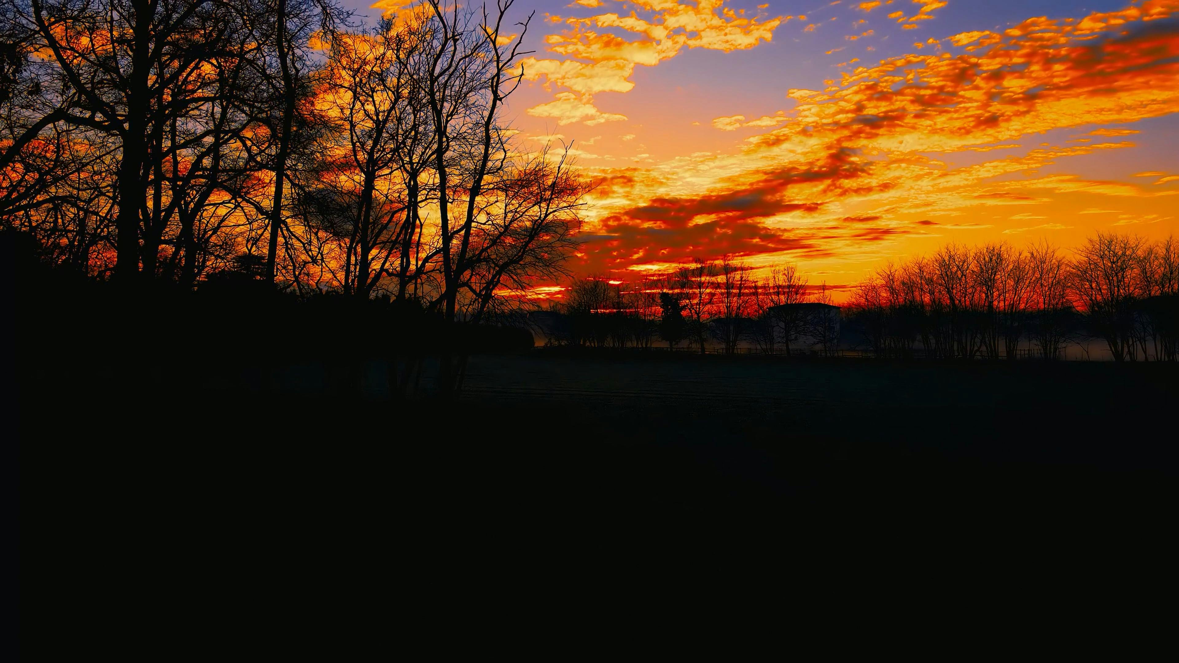 Ambient_Nature_ Atmosphere - Photography