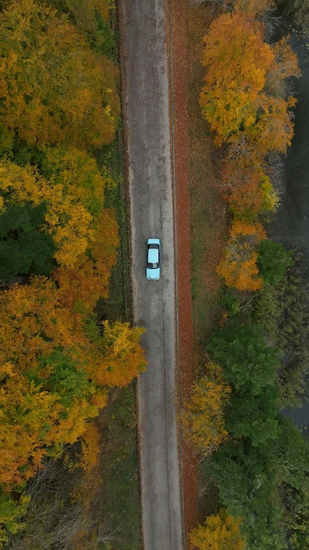 Dogal Car Videos, Download Free 4k Stock Video Footage & Dogal Car HD ...