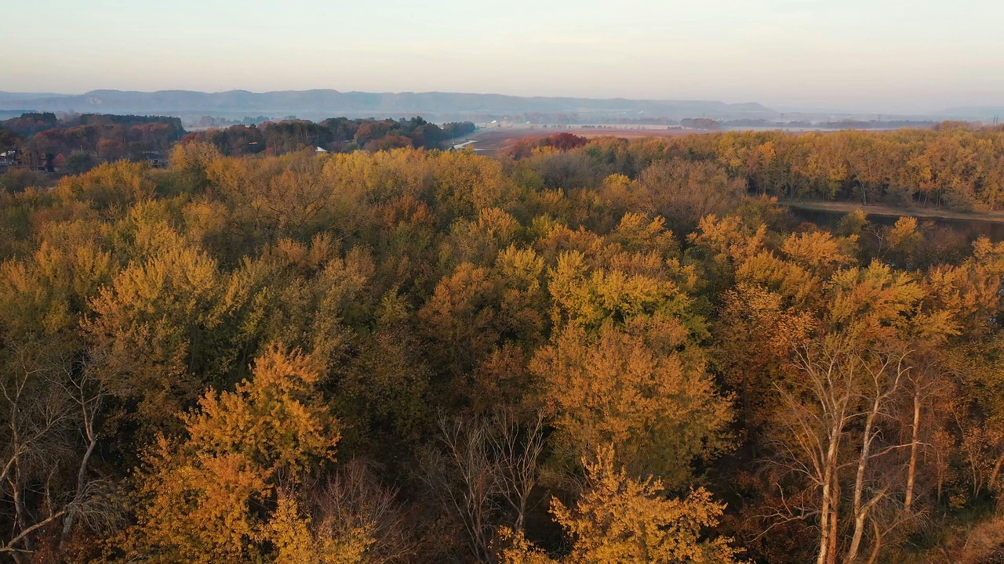 Forest In Fall Videos, Download The BEST Free 4k Stock Video Footage ...