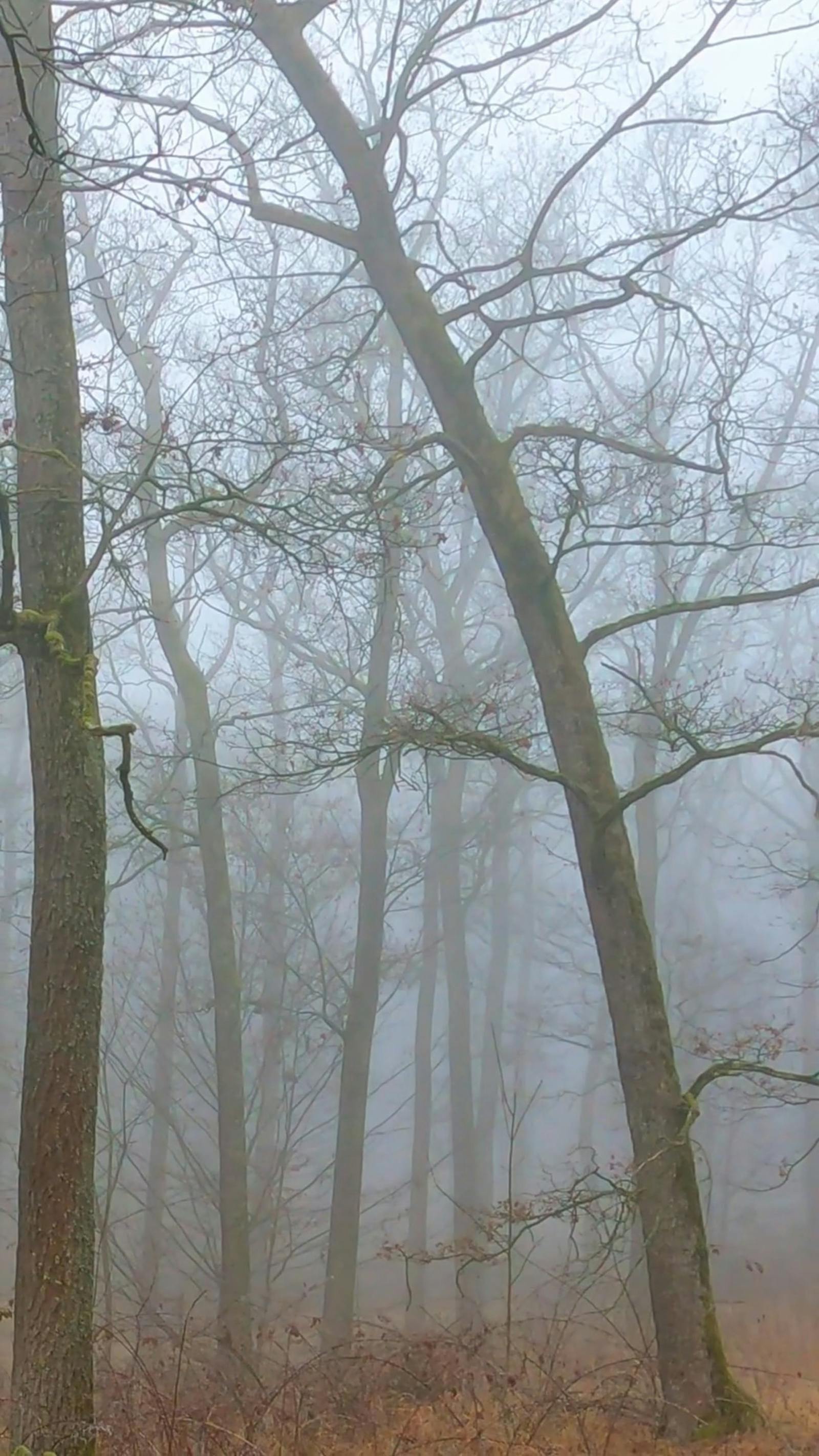 Full Hd Videos, Download The BEST Free 4k Stock Video Footage & Full Hd ...