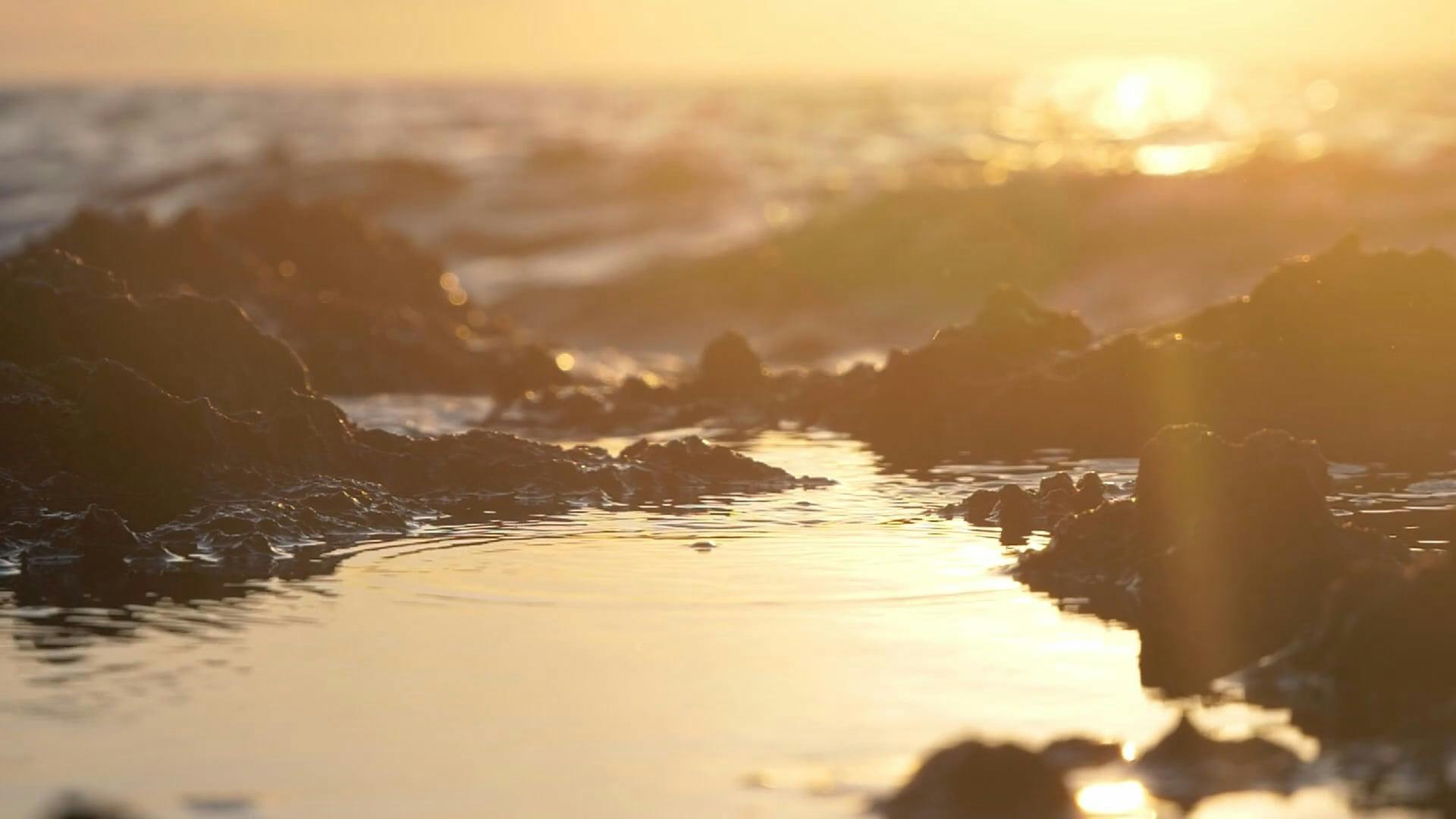 Slo Motion Video Videos, Download The BEST Free 4k Stock Video Footage ...