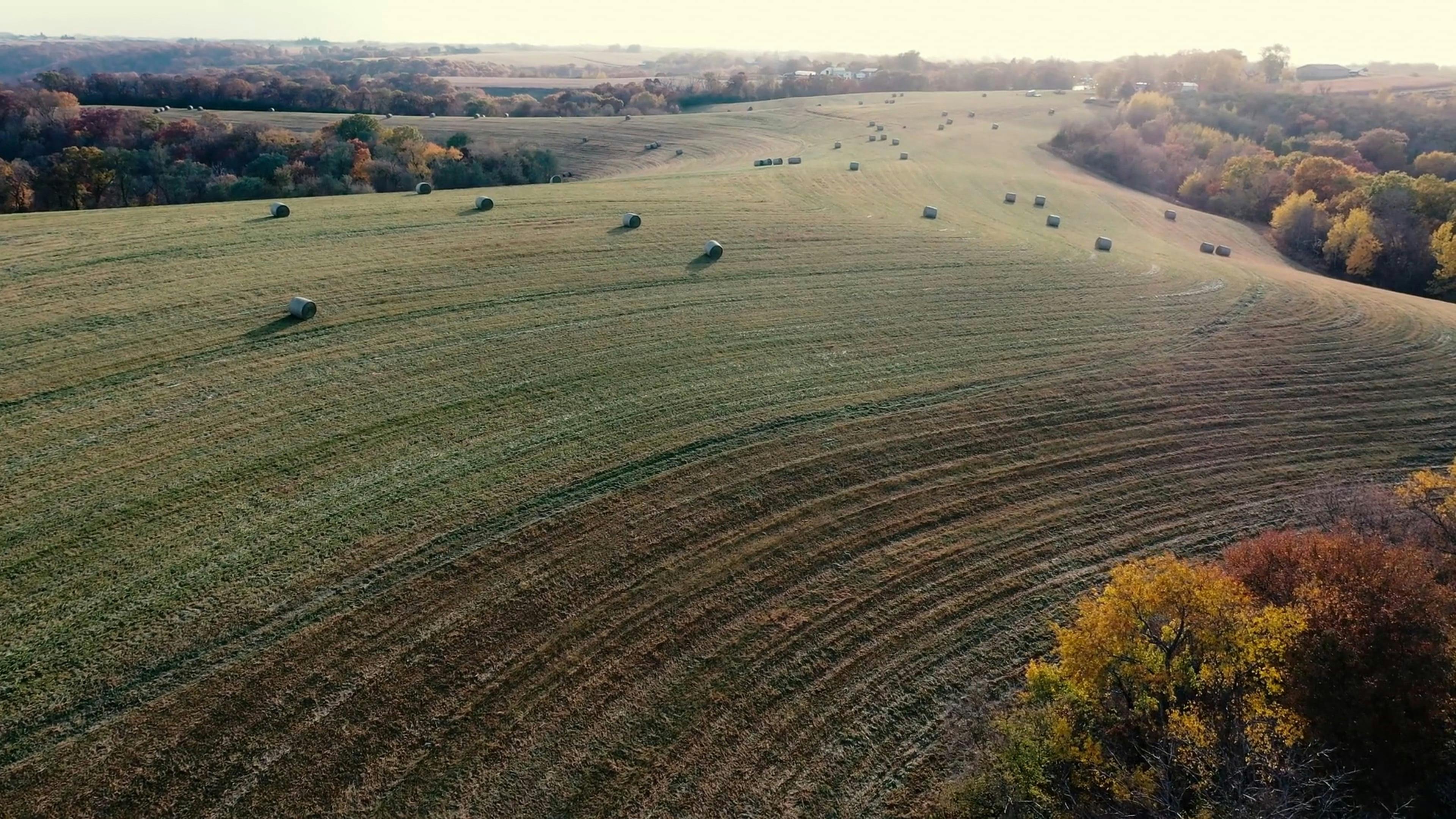Aerial View of a Harvested Hayfield Free Stock Video Footage, Royalty ...