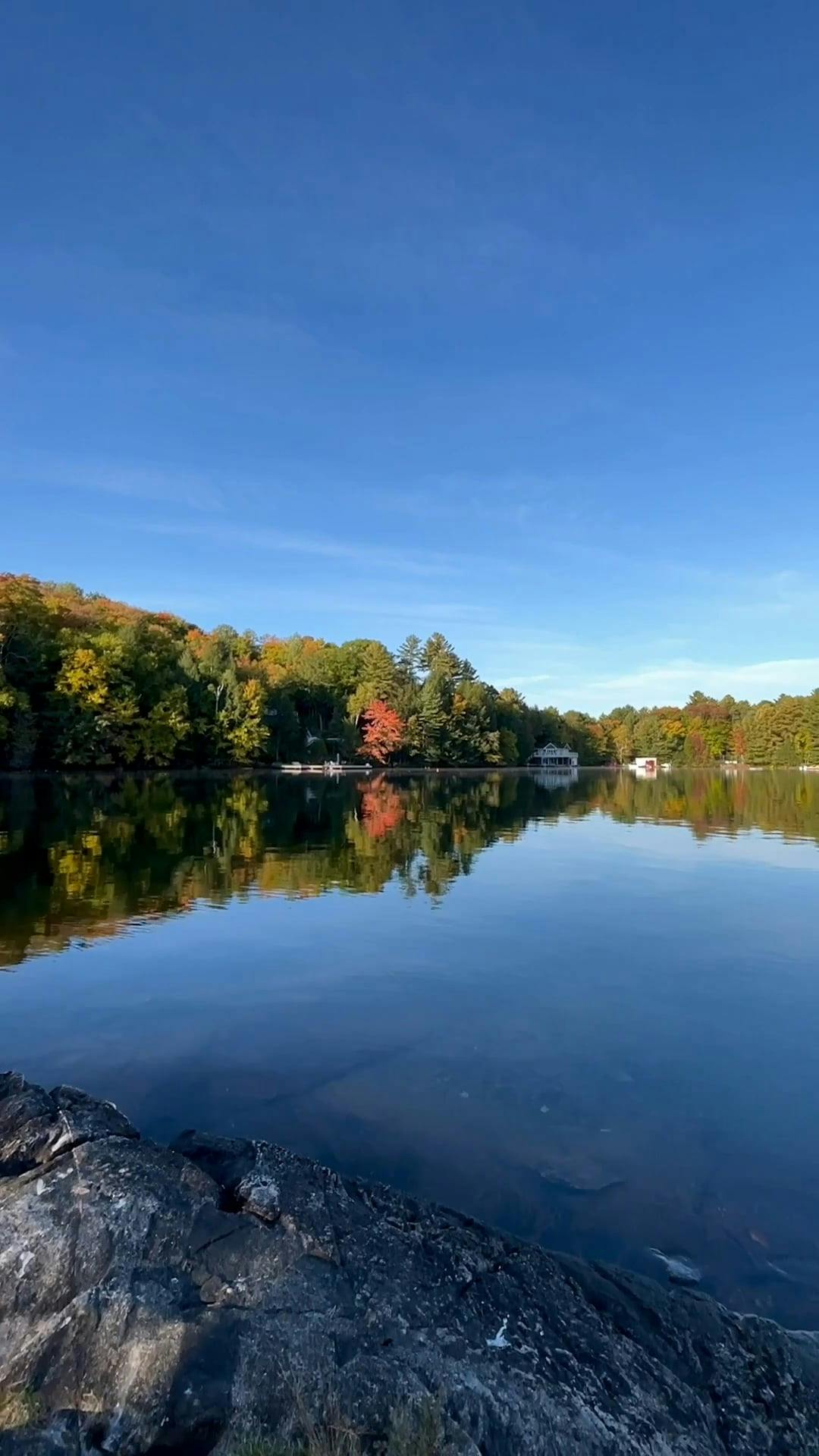 Distorted Reflections Of A Lake Surrounding On Its Water Surface Free ...