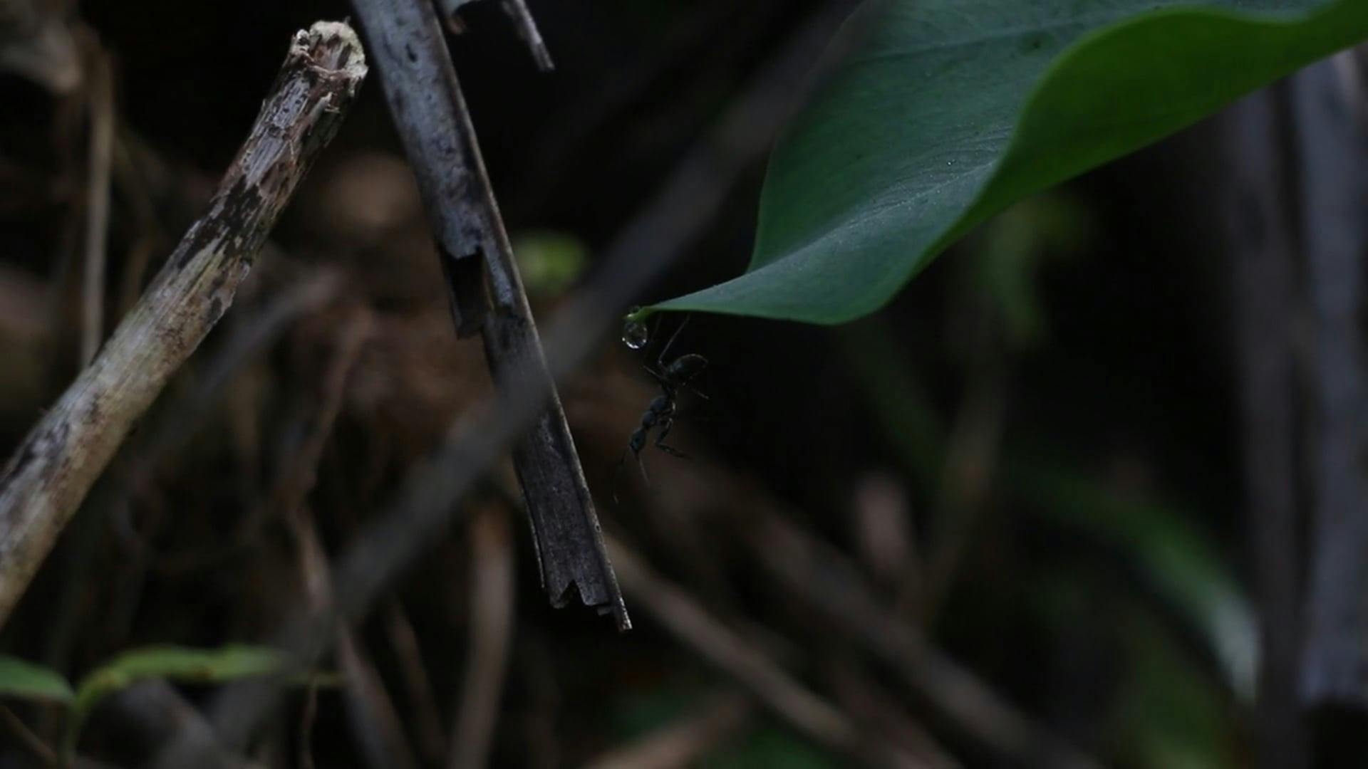 Mathew Kurian - Photography