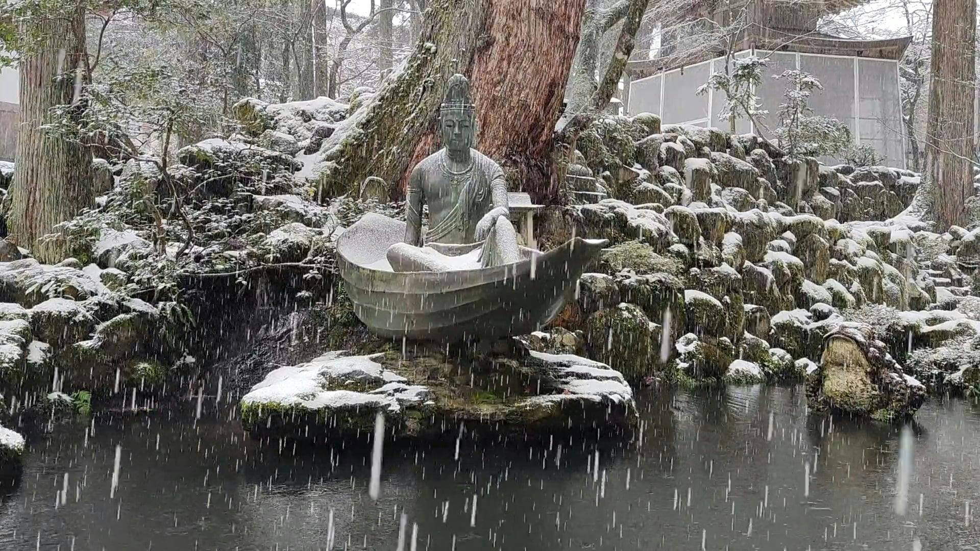 Leon Huang - Photography