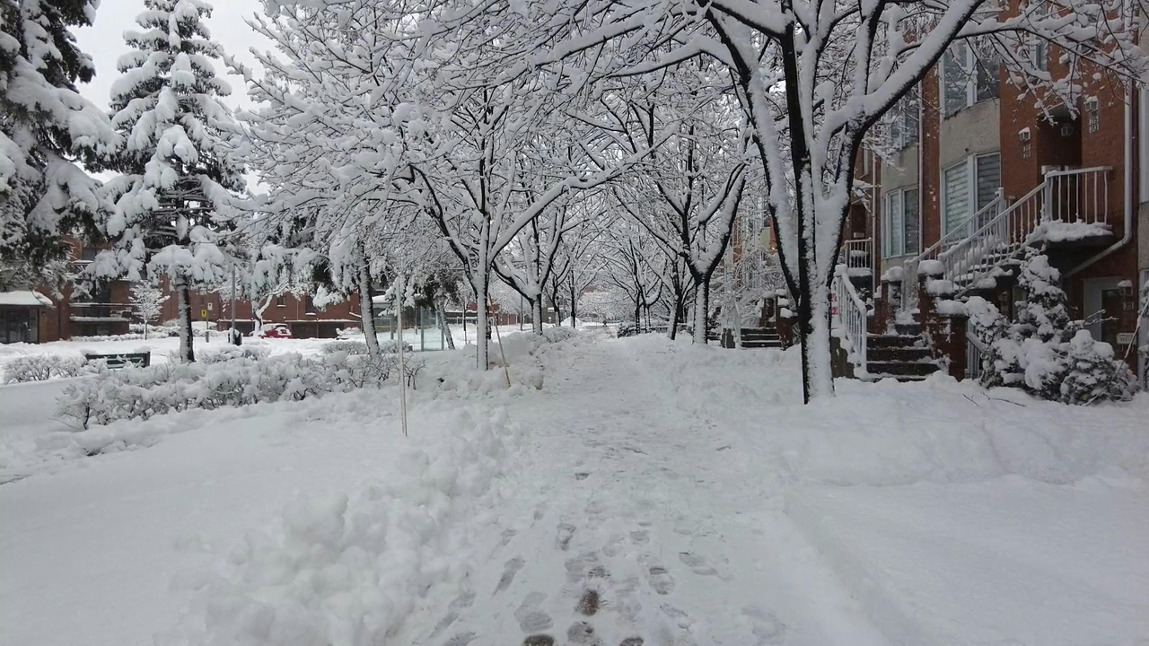 Snow Falling Outside of House Free Stock Video Footage, Royalty-Free 4K ...