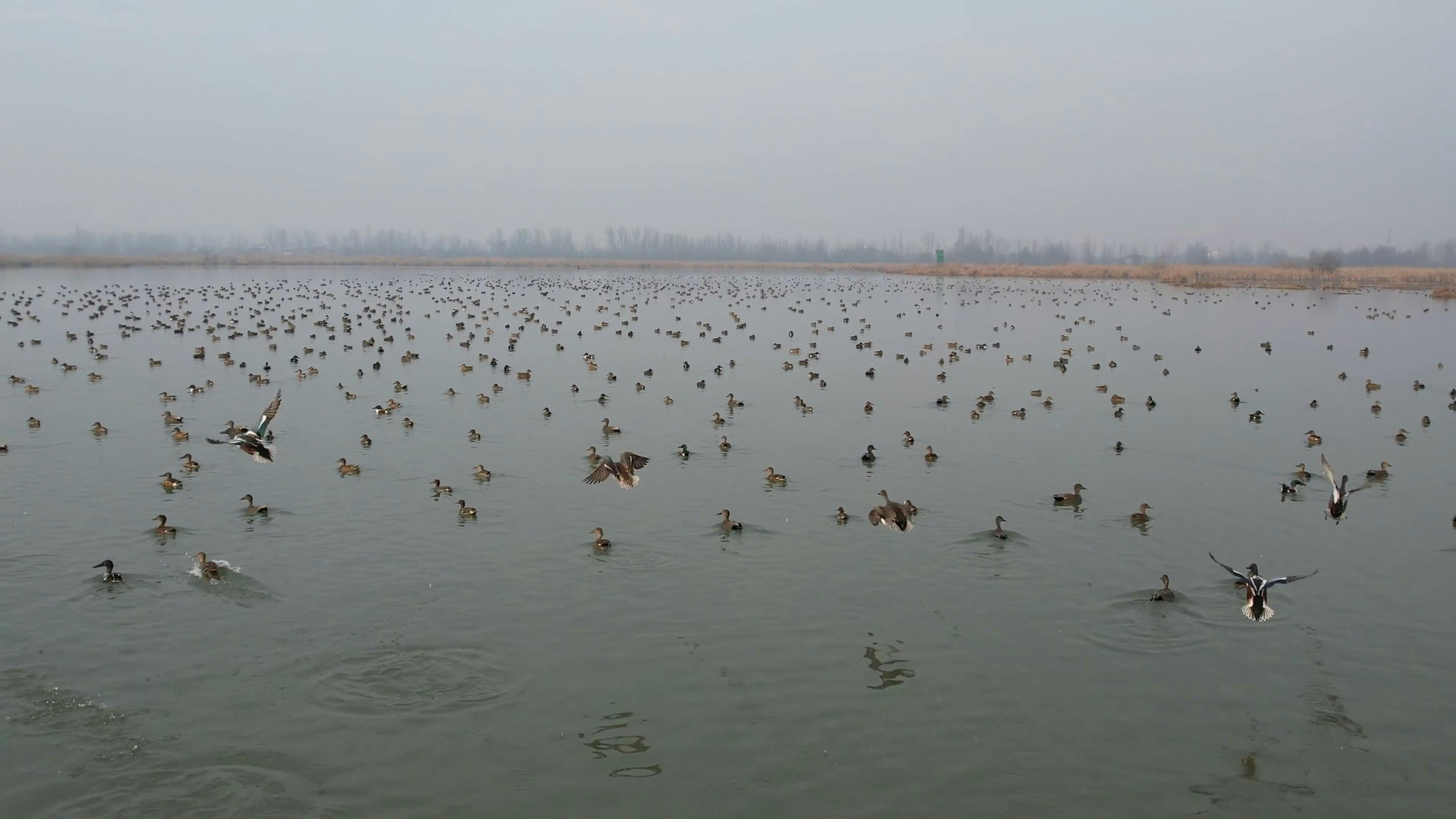 SONY SLOG 3 FOOTAGE FREE DOWNLOAD FOR COLOR GRADING Free Stock Video ...