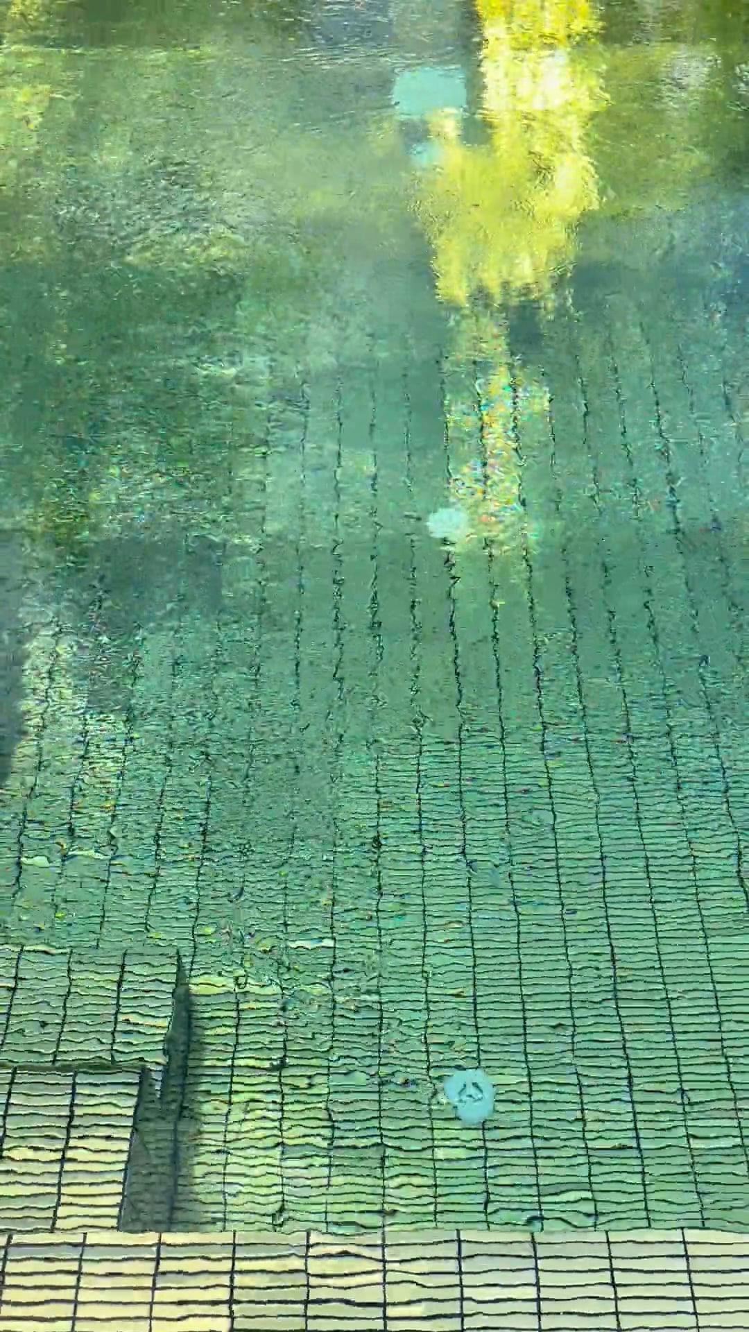 a luxury golden pool Free Stock Video Footage, Royalty-Free 4K & HD ...