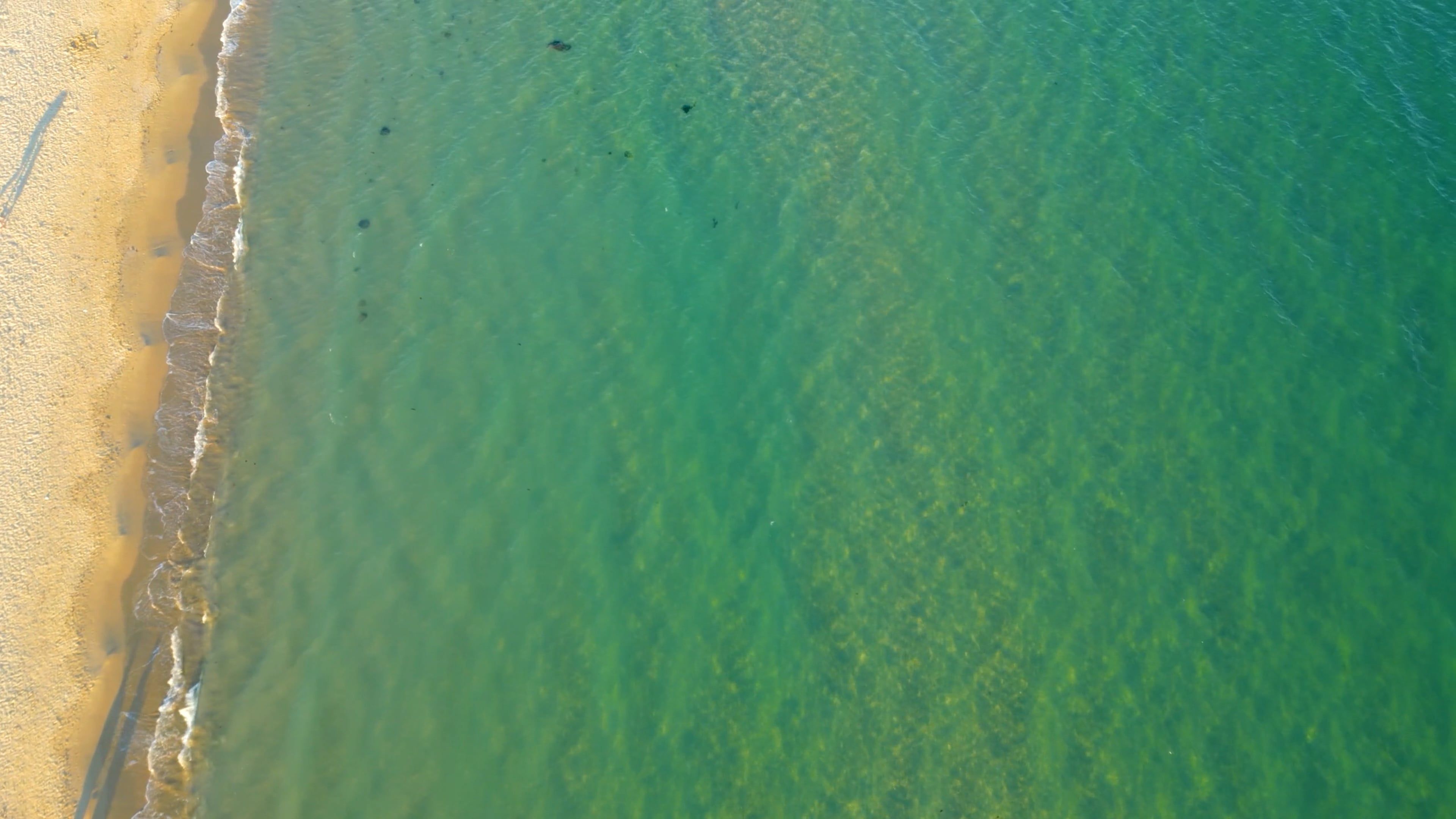 Drone Footage of the Coast of Varna, Bulgaria Free Stock Video Footage ...