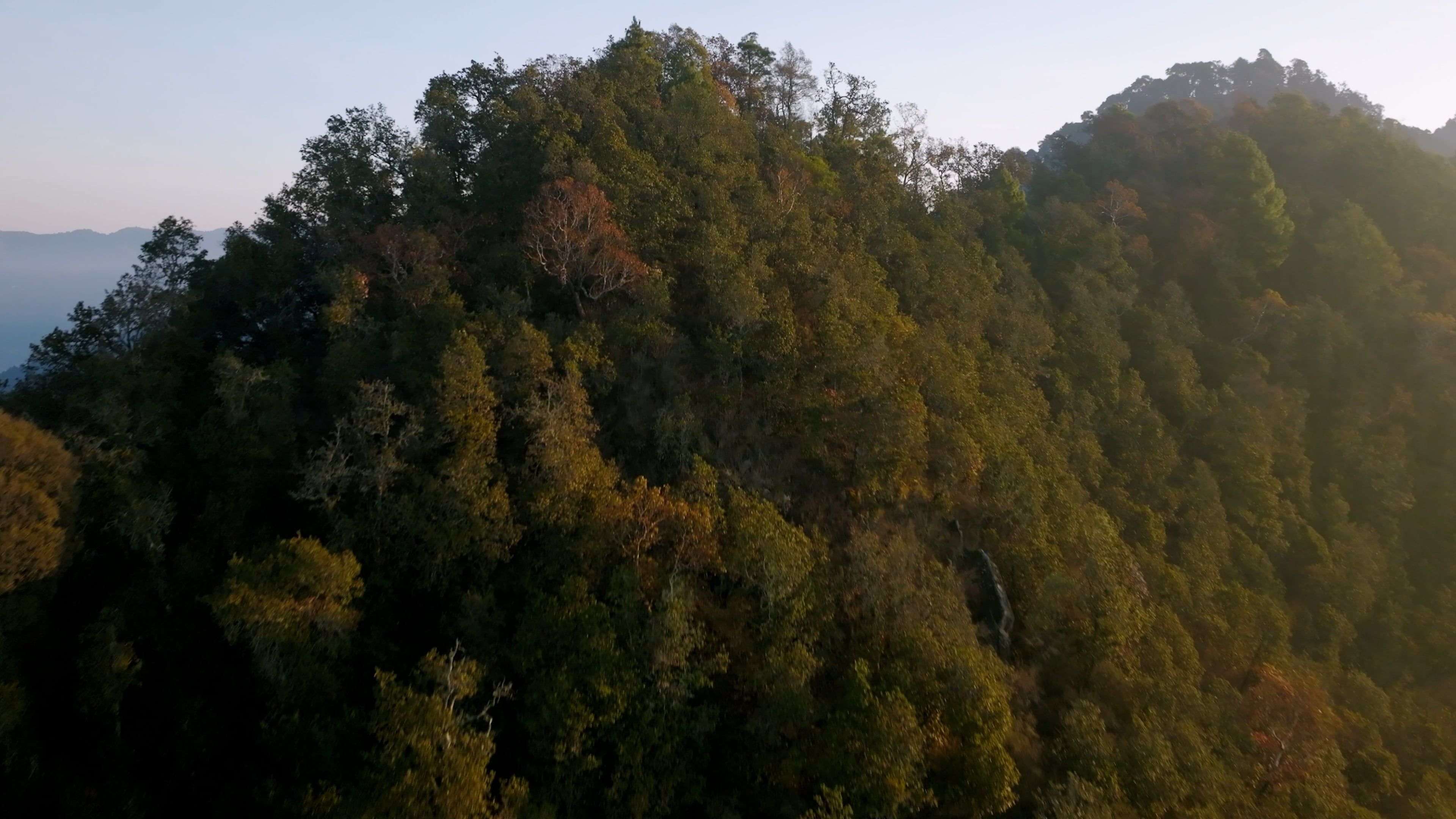 Vídeos de stock gratuitos sobre al aire libre, amanecer, arboles ...