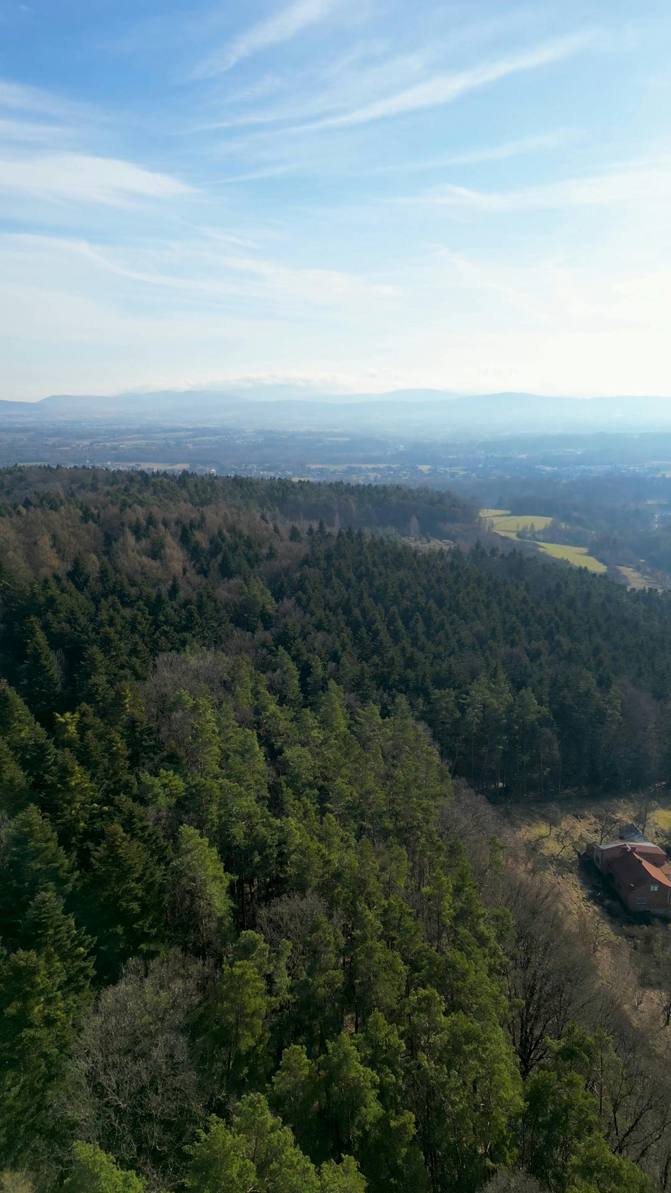 Drone Footage of A Thick Forest Free Stock Video Footage, Royalty-Free ...