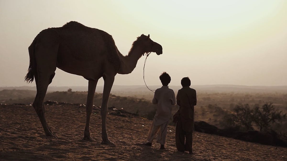 Follow Me Videos, Download The BEST Free 4k Stock Video Footage ...