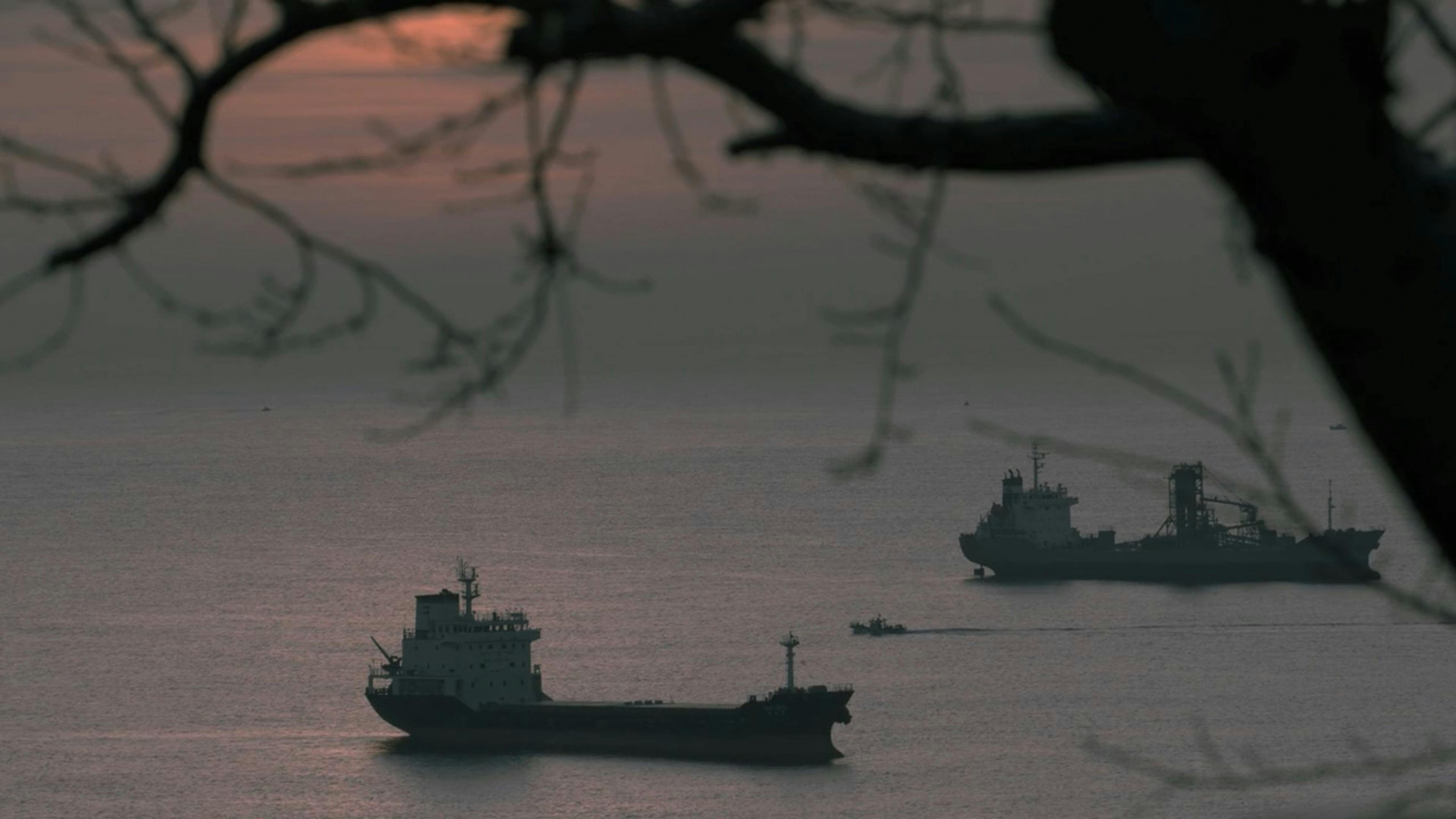 Sakura Sea Videos, Download The BEST Free 4k Stock Video Footage ...