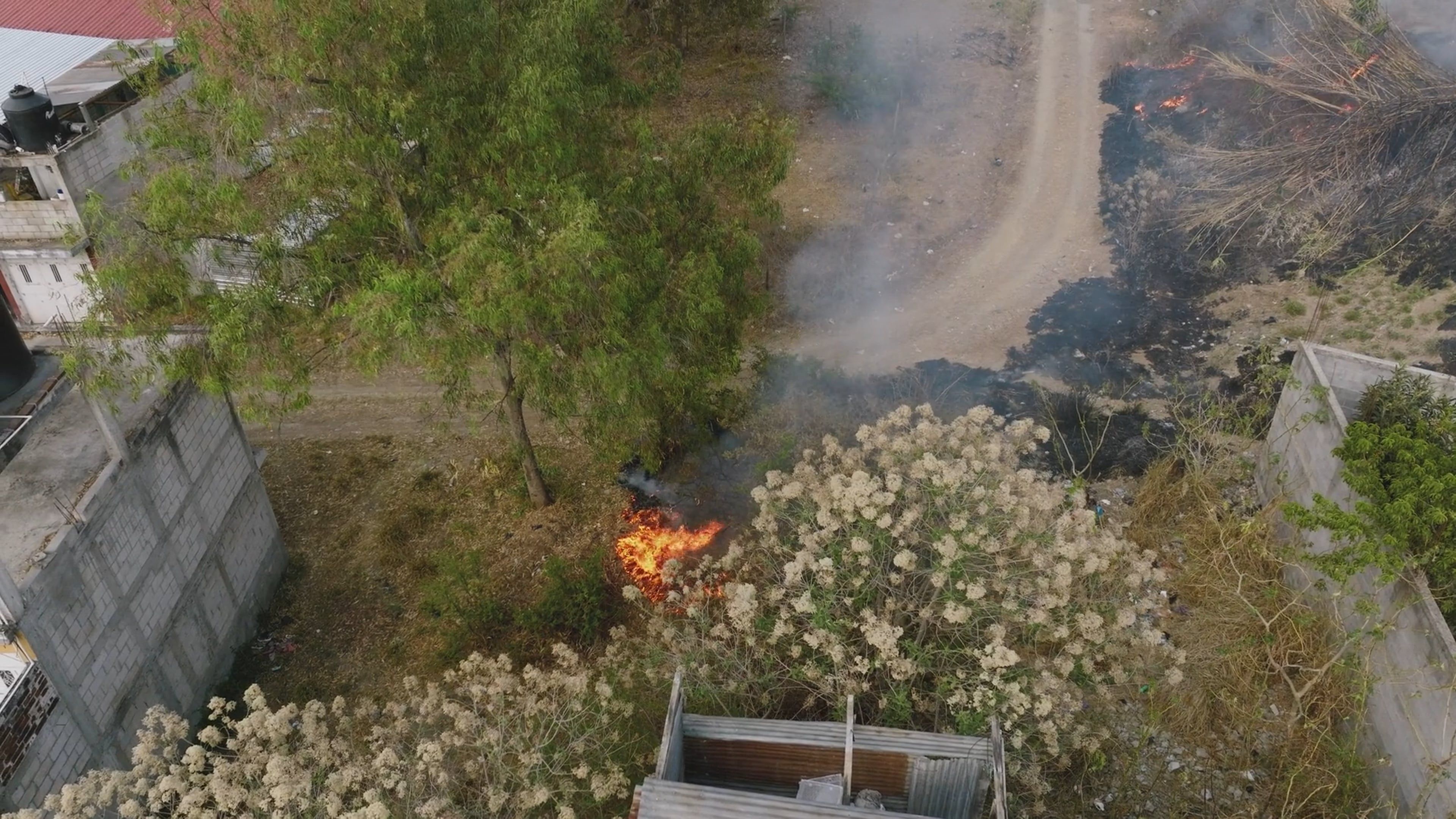 Burning Bushes Videos, Download The BEST Free 4k Stock Video Footage ...