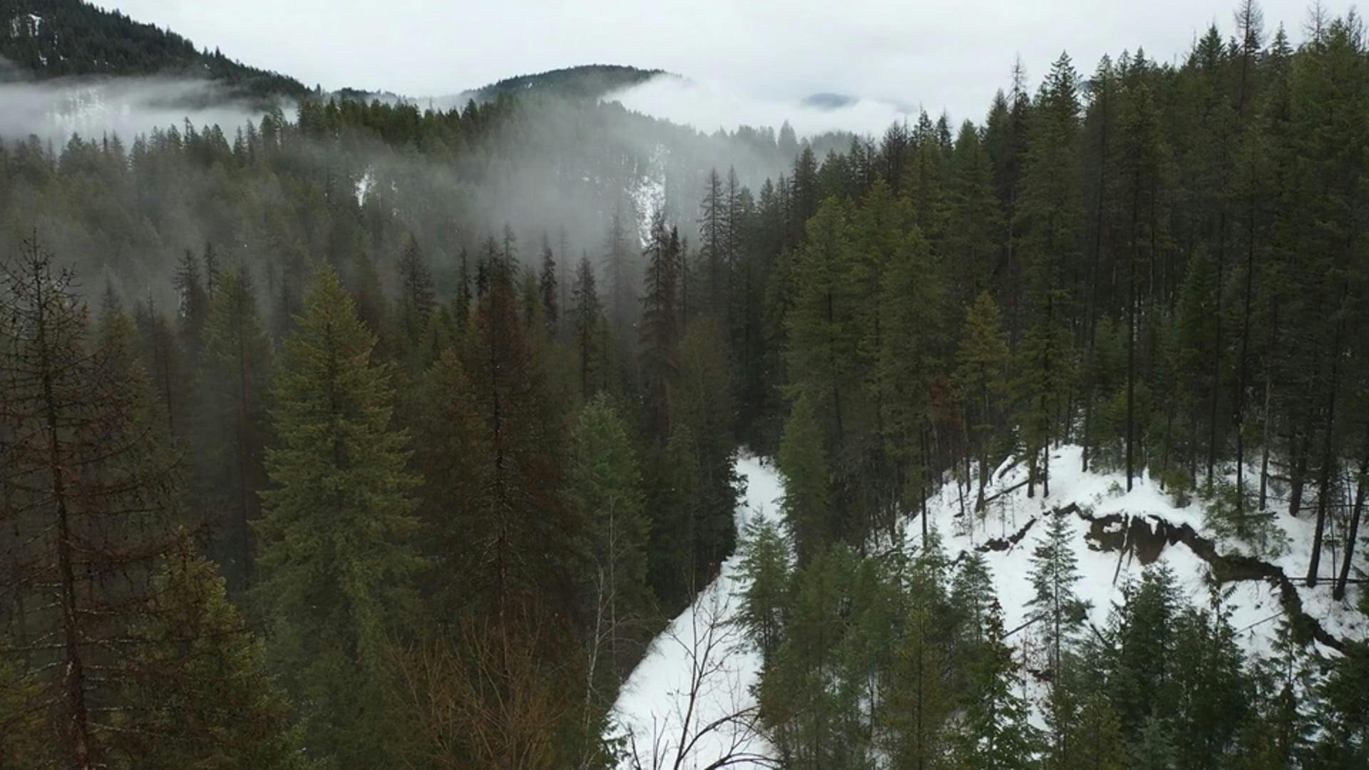 Drone Footage of a Mountain Ridgeline and Low Clouds Free Stock Video ...