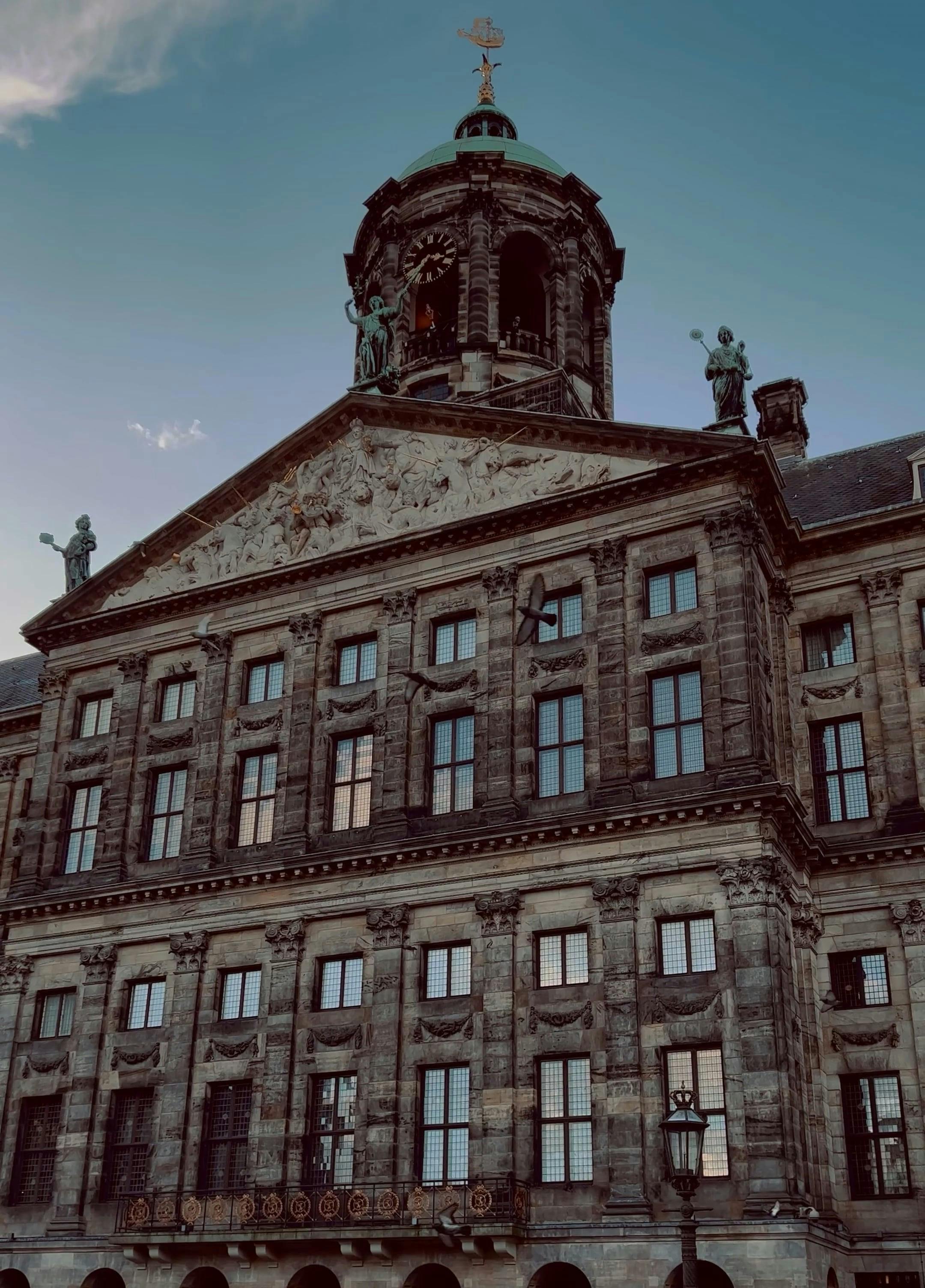 Natália Falsetti - Photography