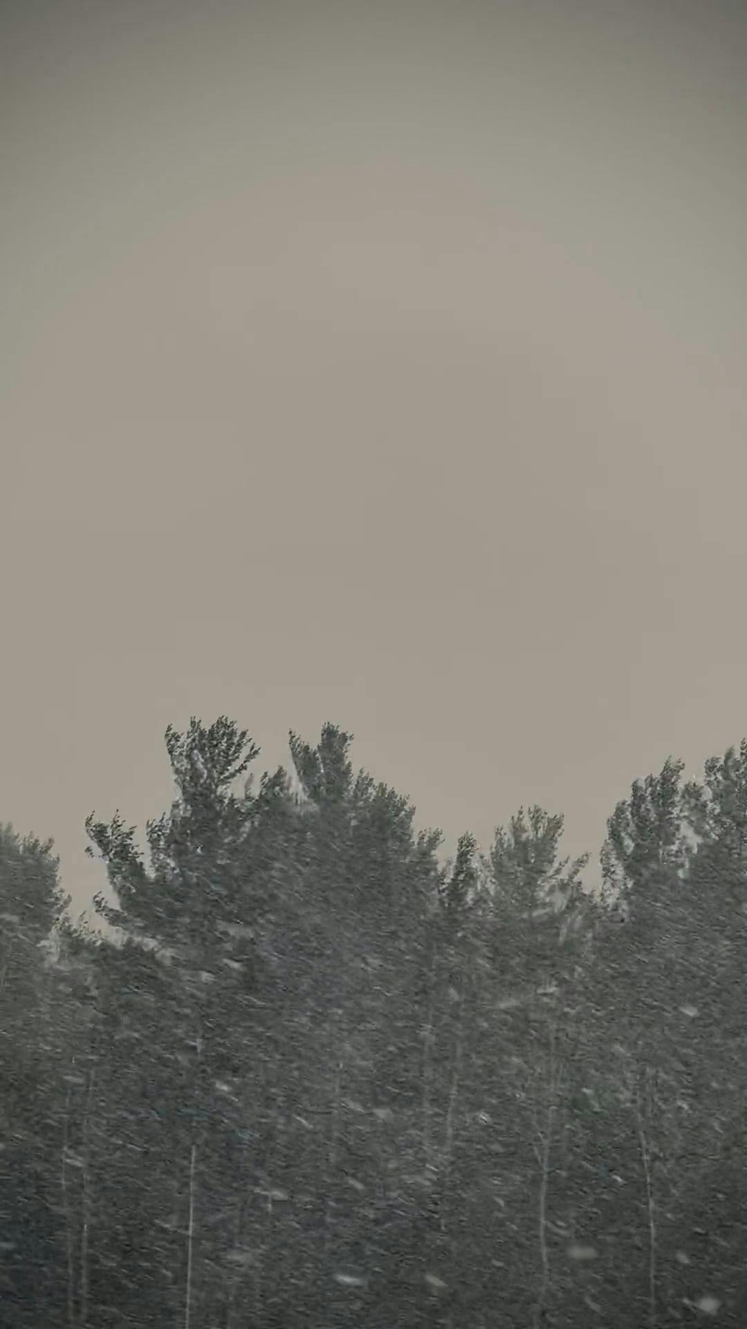 Snow Storm Videos, Download The BEST Free 4k Stock Video Footage & Snow ...