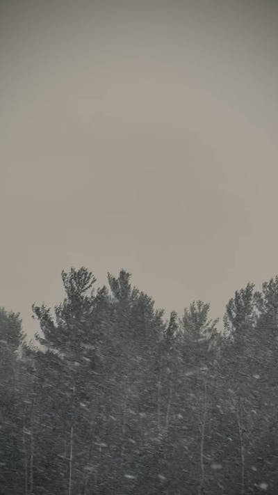 Snow Storm Videos, Download The BEST Free 4k Stock Video Footage & Snow ...