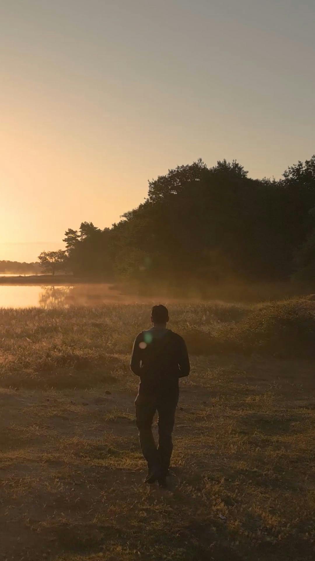 Person Walking Alone in The Woods Free Stock Video Footage, Royalty ...