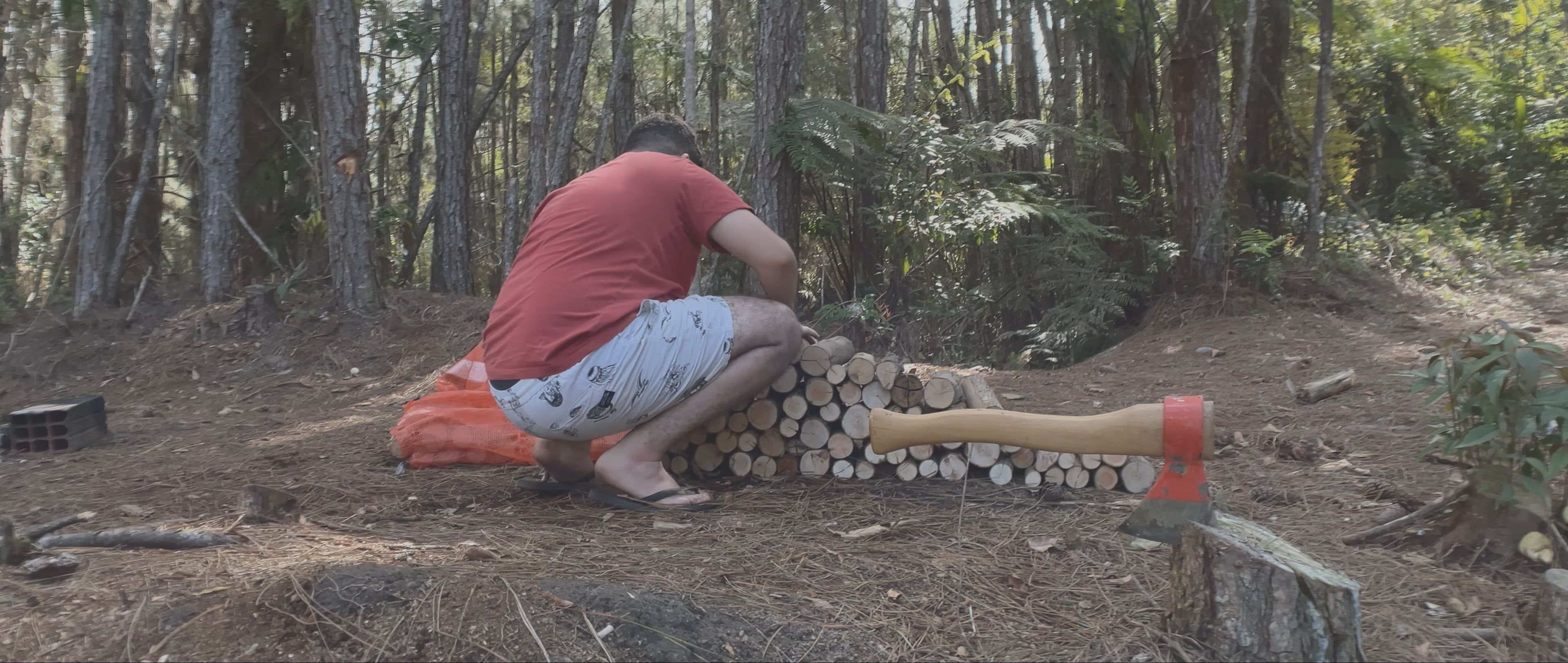A Man Stacking Chopped Wood in a Forest Free Stock Video Footage ...