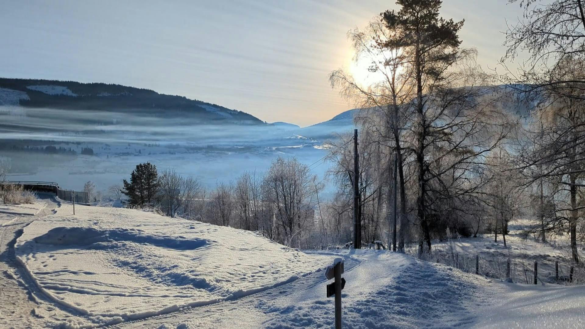 Patrick Timmers - 写真