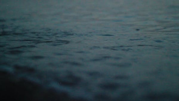 111,915+ Best Free Background videos 4K Stock Video Footage & Royalty ...