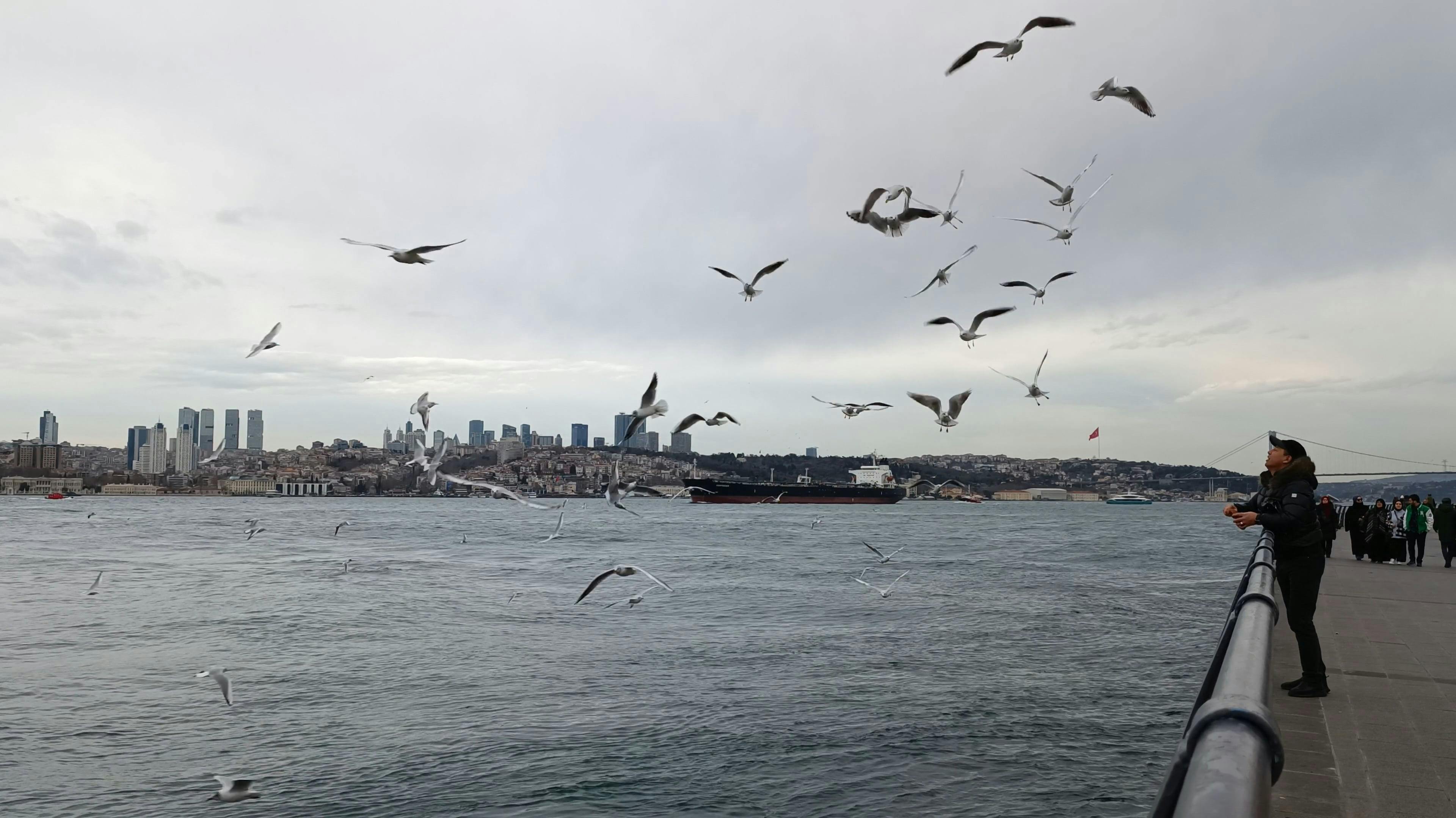 Throwing Mud Videos, Download Free 4k Stock Video Footage & Throwing ...