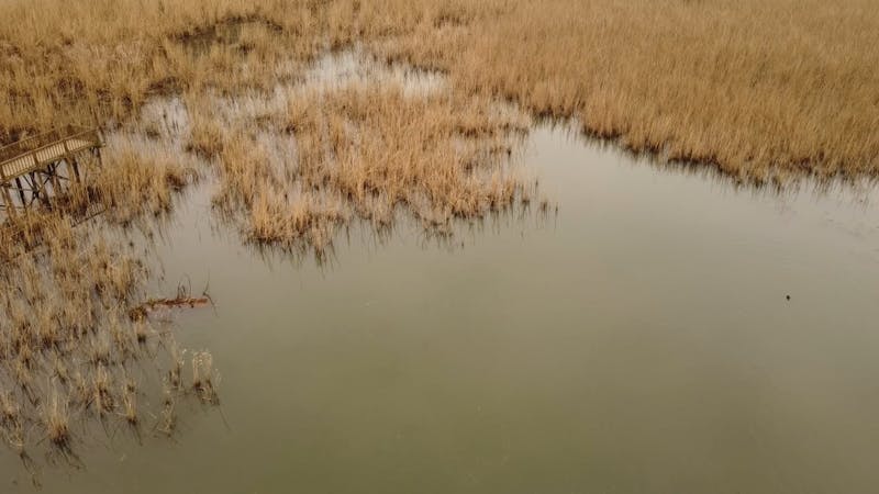 Marsh Wallpaper Videos, Download The BEST Free 4k Stock Video Footage ...