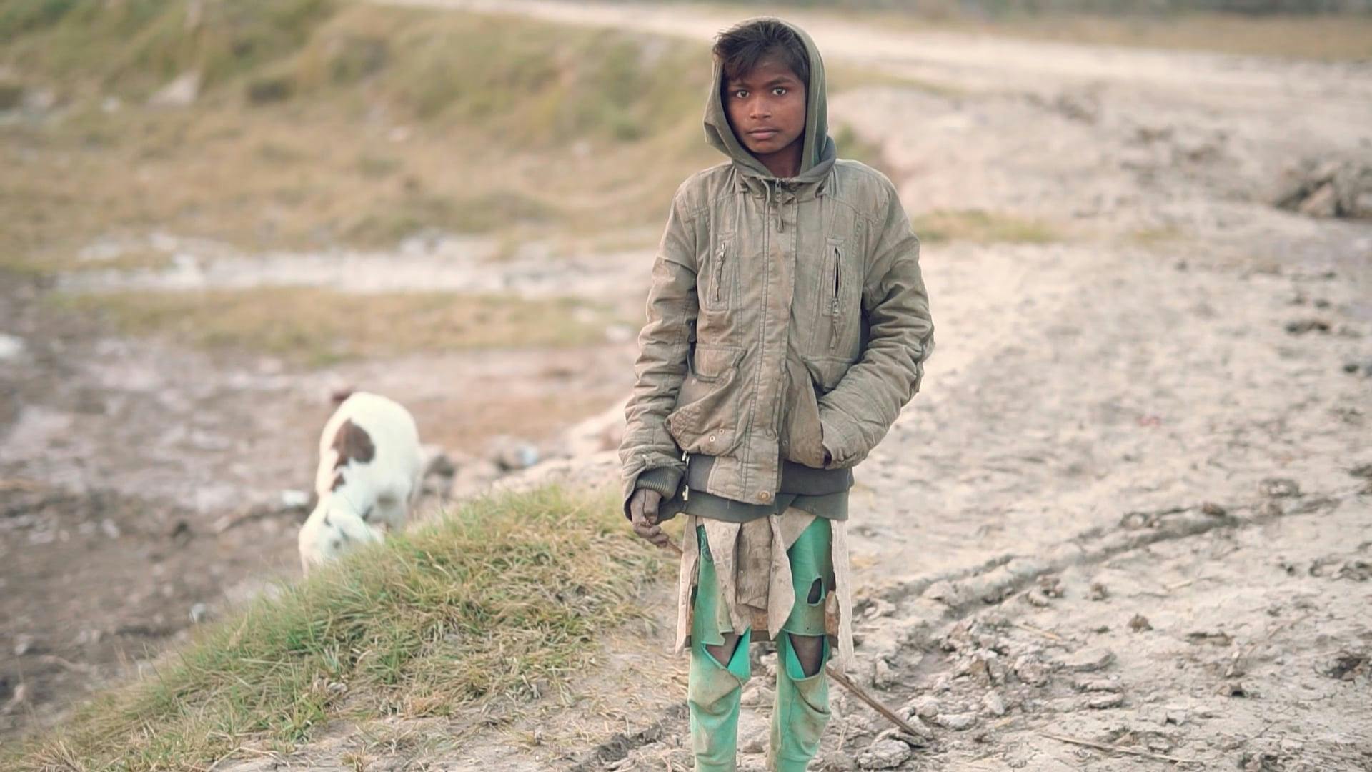 Beautiful clip of old poor shepherd Free Stock Video Footage, Royalty ...