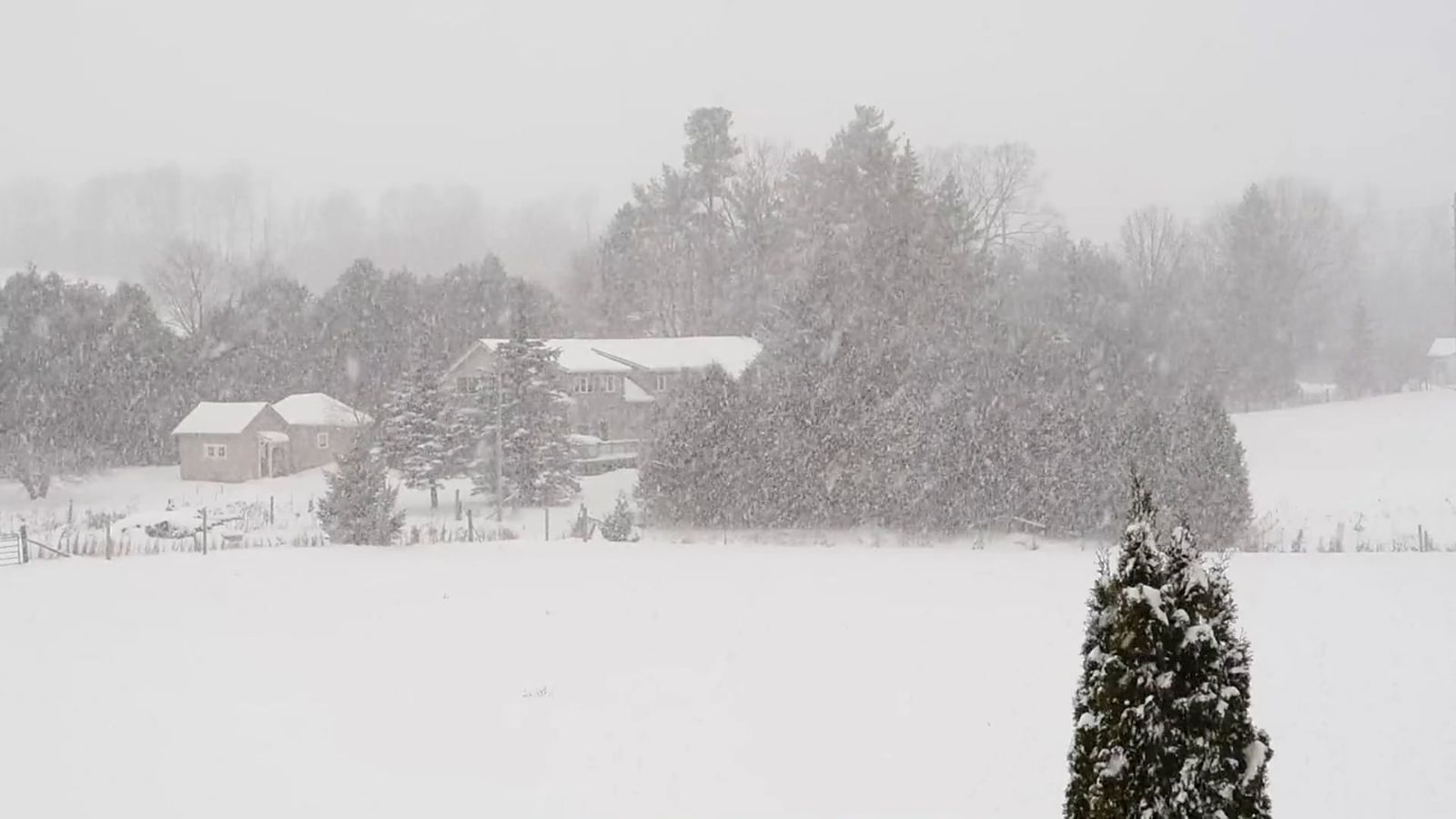 Snow Storm Videos, Download The BEST Free 4k Stock Video Footage & Snow ...