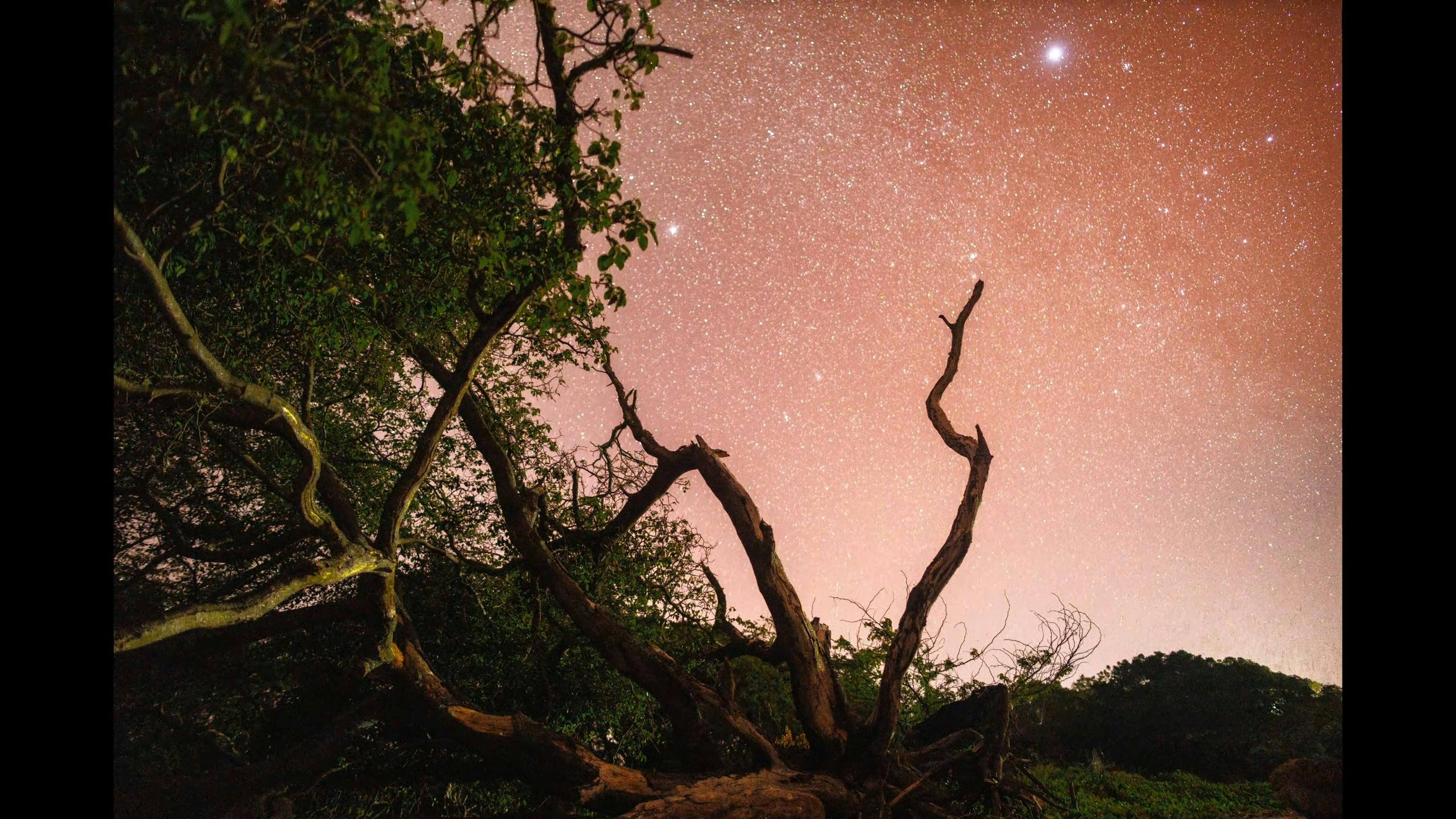 Dmitry Varennikov - 摄影