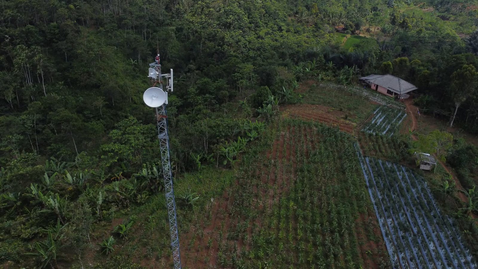 Bokep+Barat+Cantik Videos, Download The BEST Free 4k Stock Video Footage & Bokep+Barat+Cantik HD ...