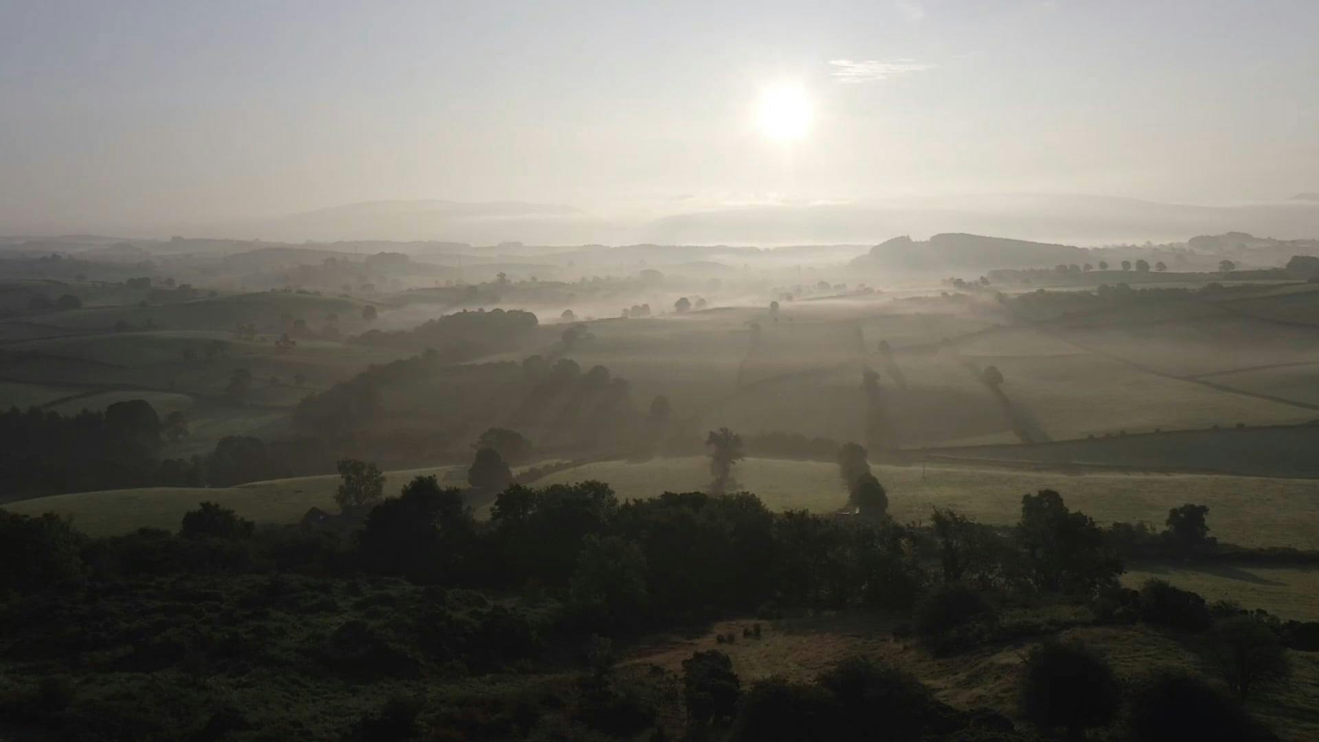 Drone Video of Green Fields on a Sunny Morning Free Stock Video Footage ...