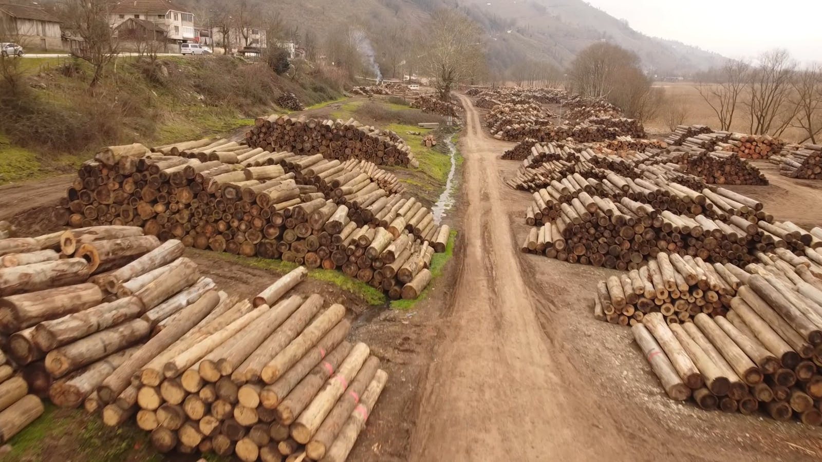 S Log Video Videos, Download The BEST Free 4k Stock Video Footage & S ...