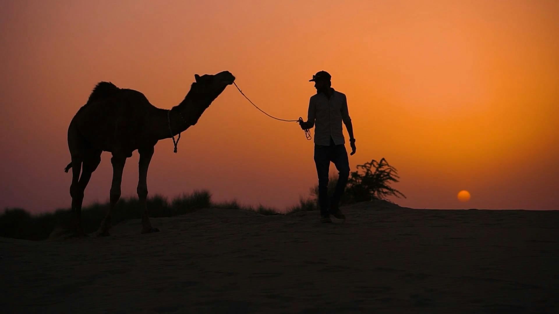 Walking Hijab Woman With Sunset View Free Stock Video Footage, Royalty ...