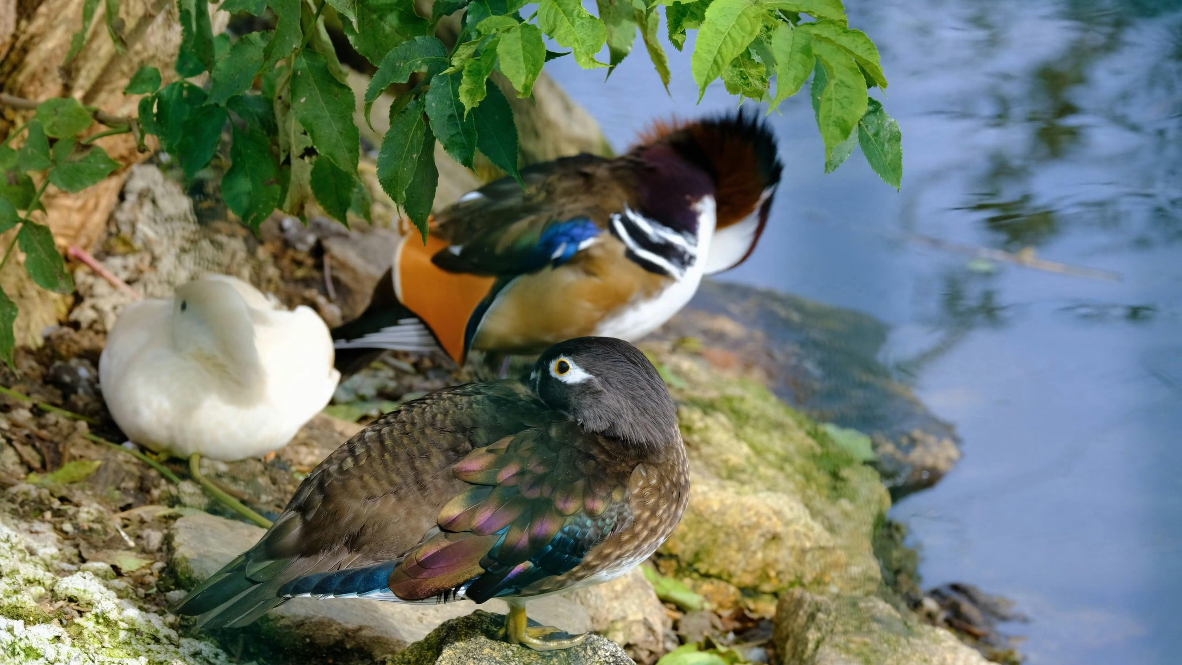 Mutation Videos, Download The BEST Free 4k Stock Video Footage ...