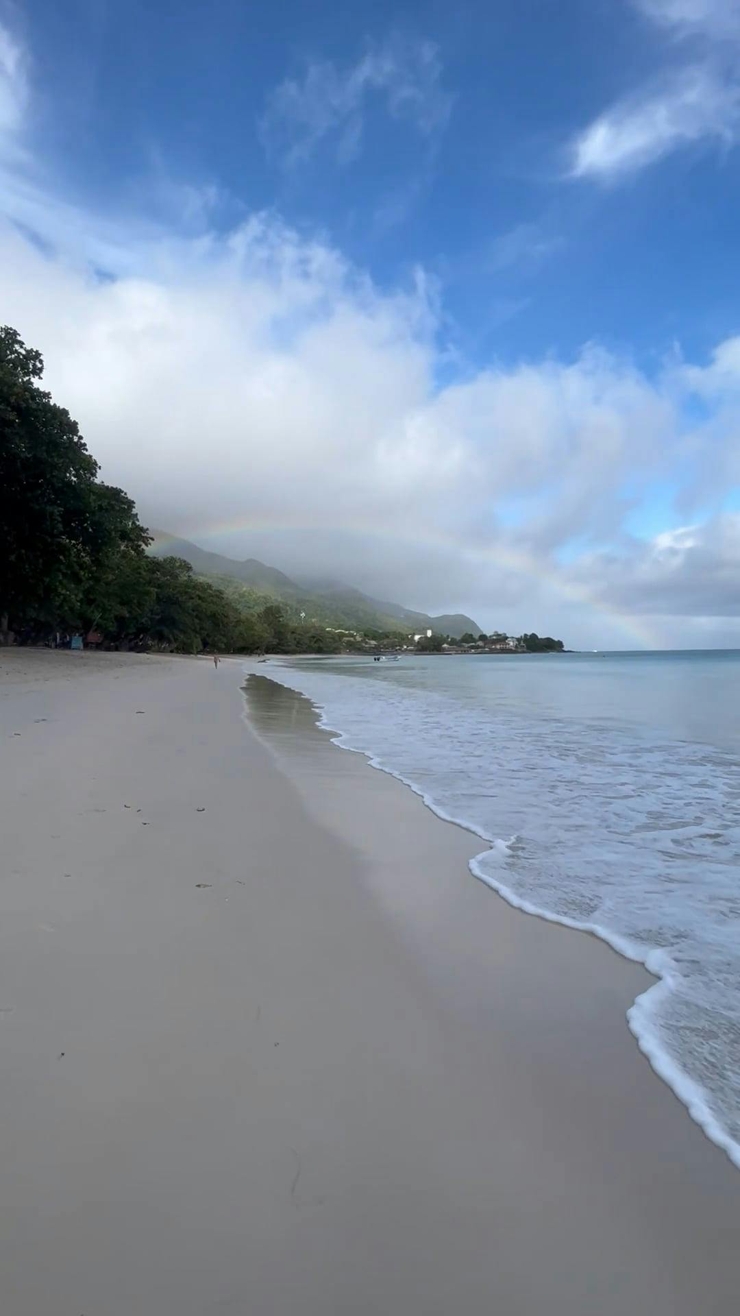 Sea World Videos Videos, Download The BEST Free 4k Stock Video Footage ...