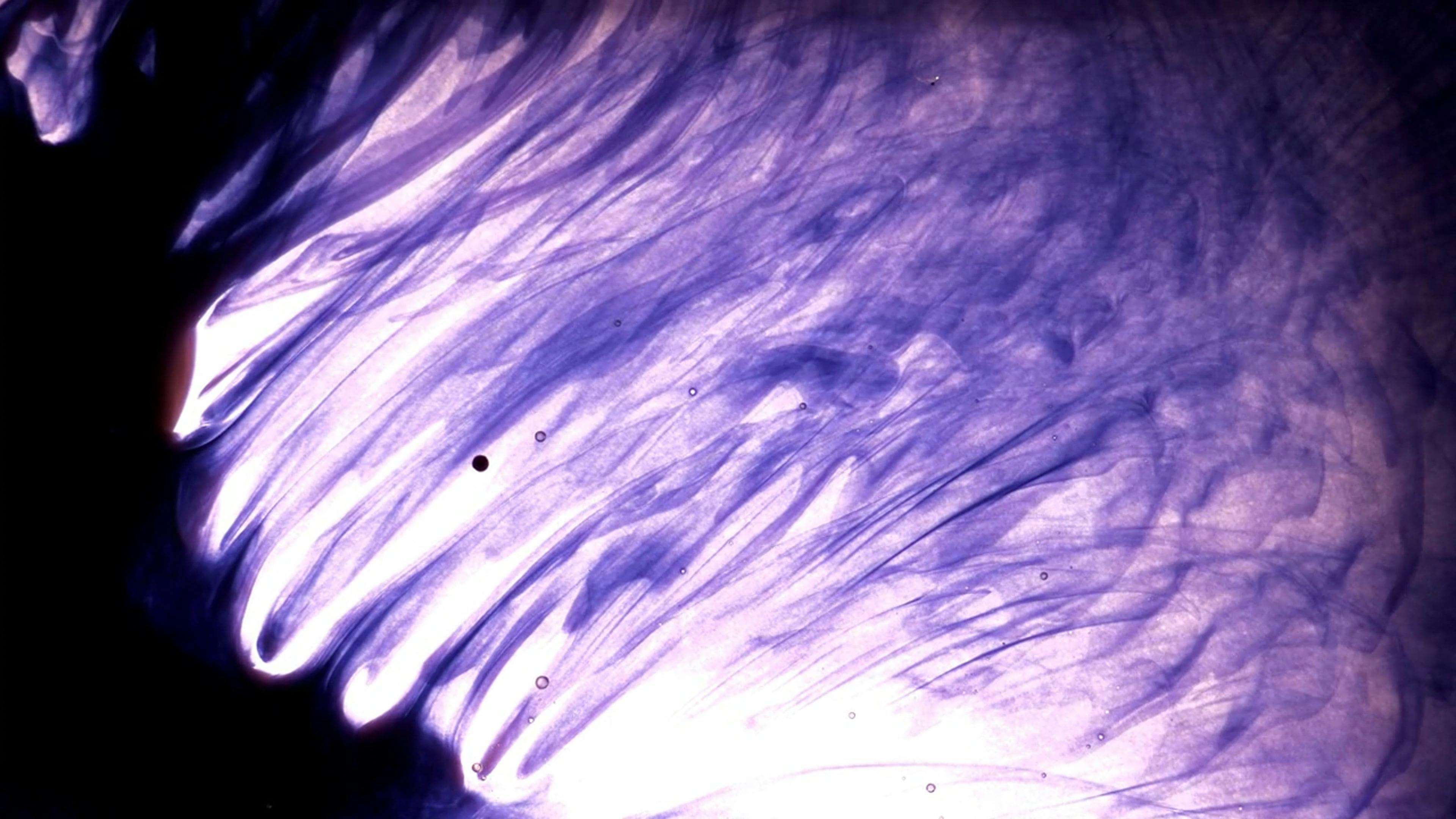 Dan Cristian Pădureț - Photography