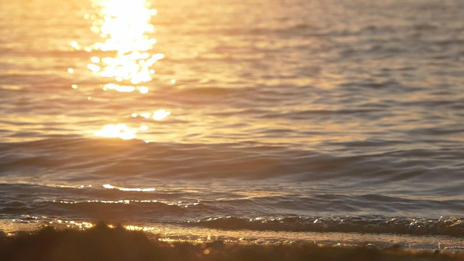 Mesmerizing Sunset Videos, Download The BEST Free 4k Stock Video ...