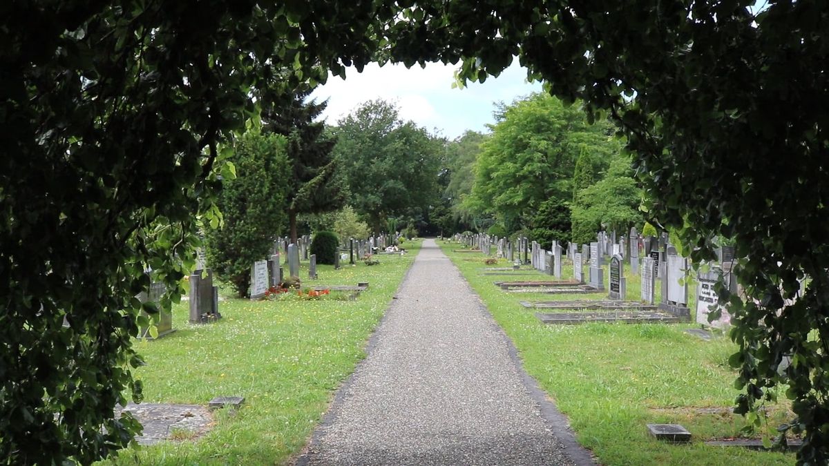 Funeral Videos, Download The BEST Free 4k Stock Video Footage & Funeral ...