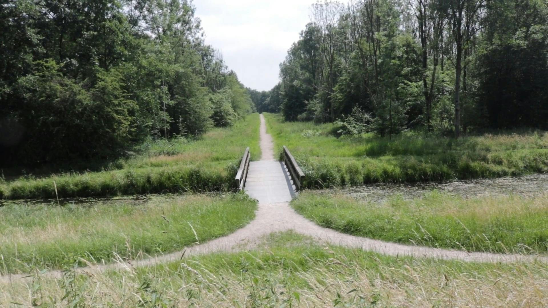Person Crossing The Bridge and Walking To The Woods · Free Stock Video