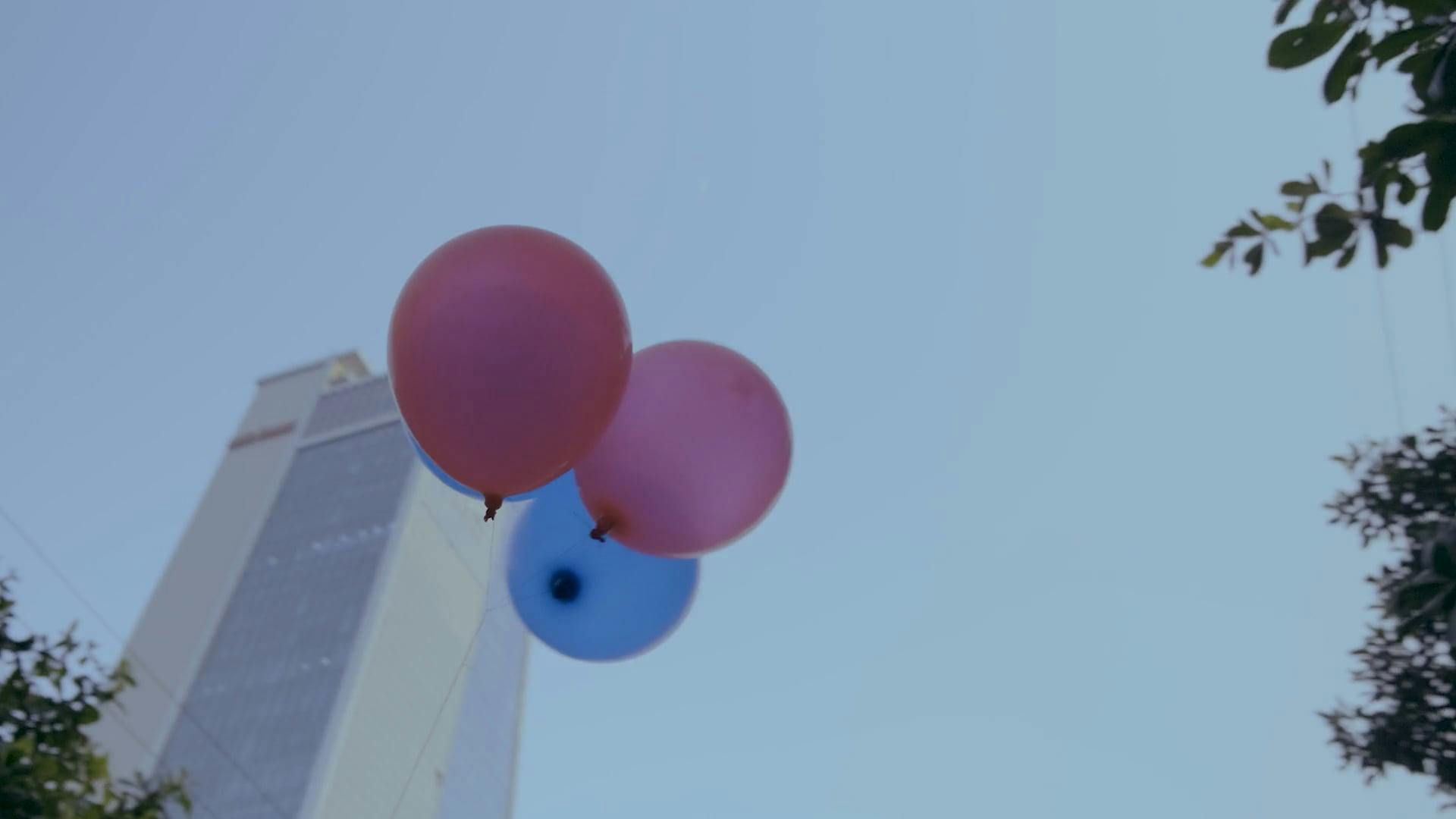 The Unwanted Free Stock Video Footage, Royalty-Free 4K & HD Video Clip