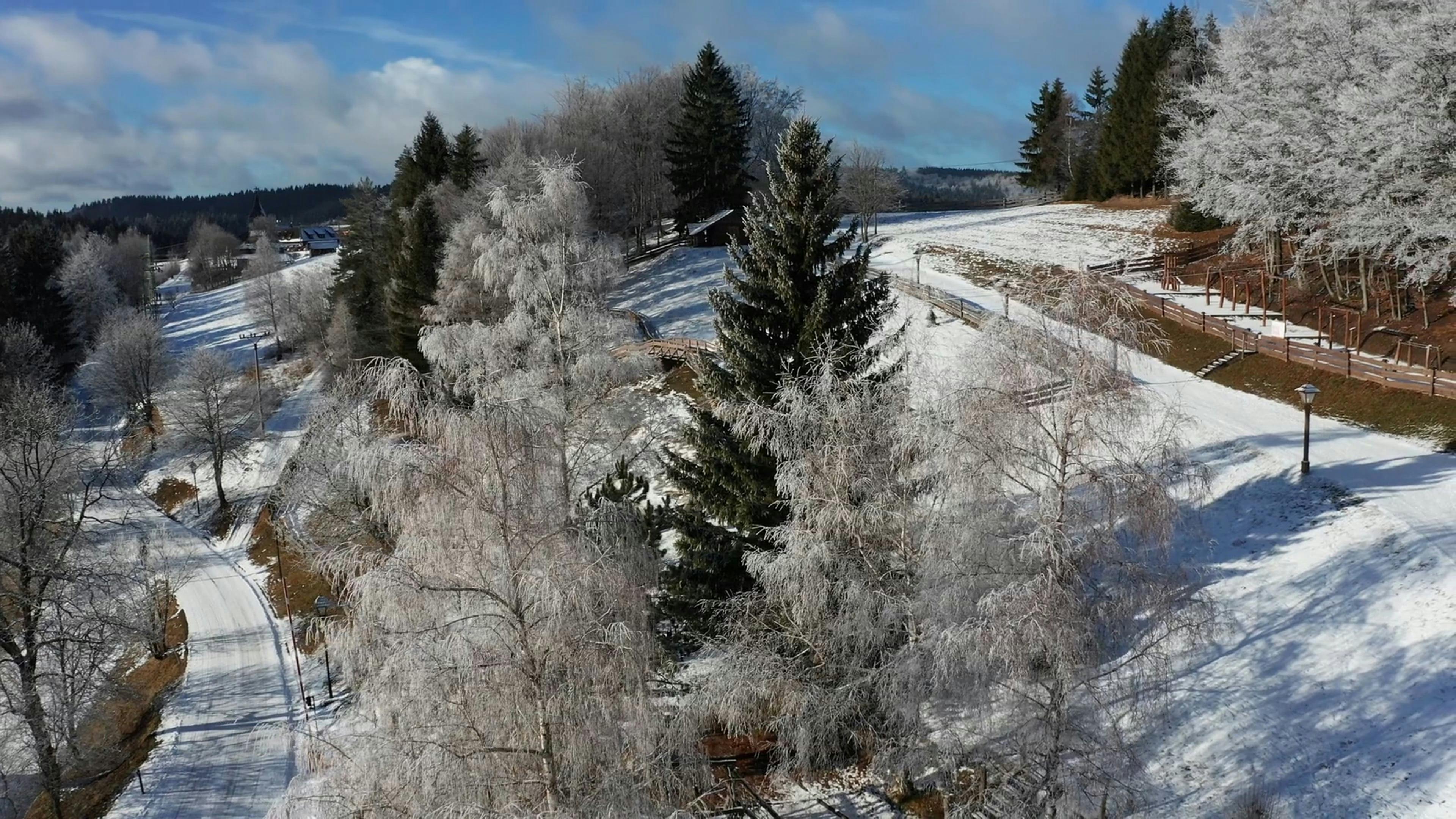 Minecraft Trees Videos, Download The BEST Free 4k Stock Video Footage ...