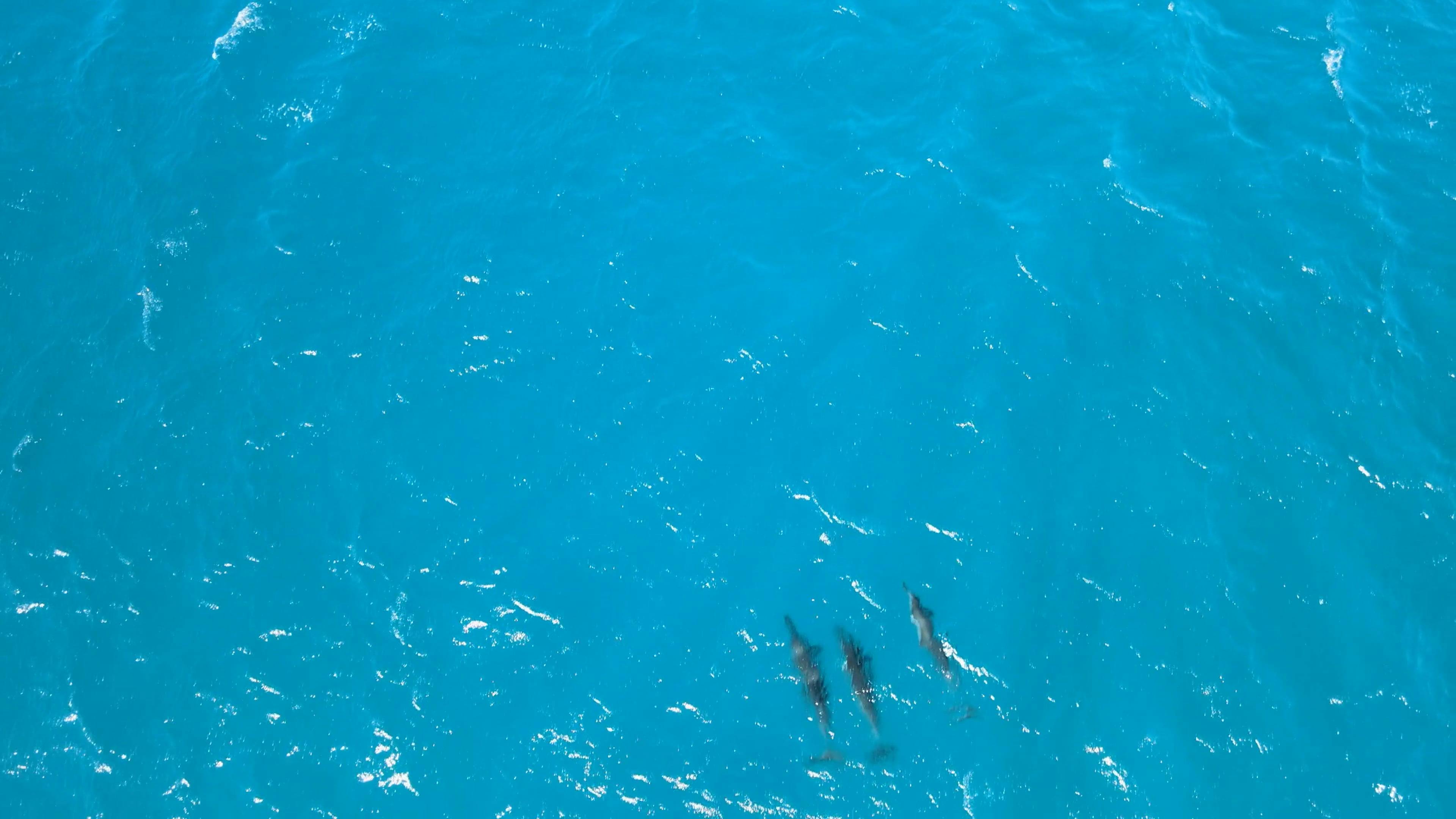 Daniel Torobekov - 摄影