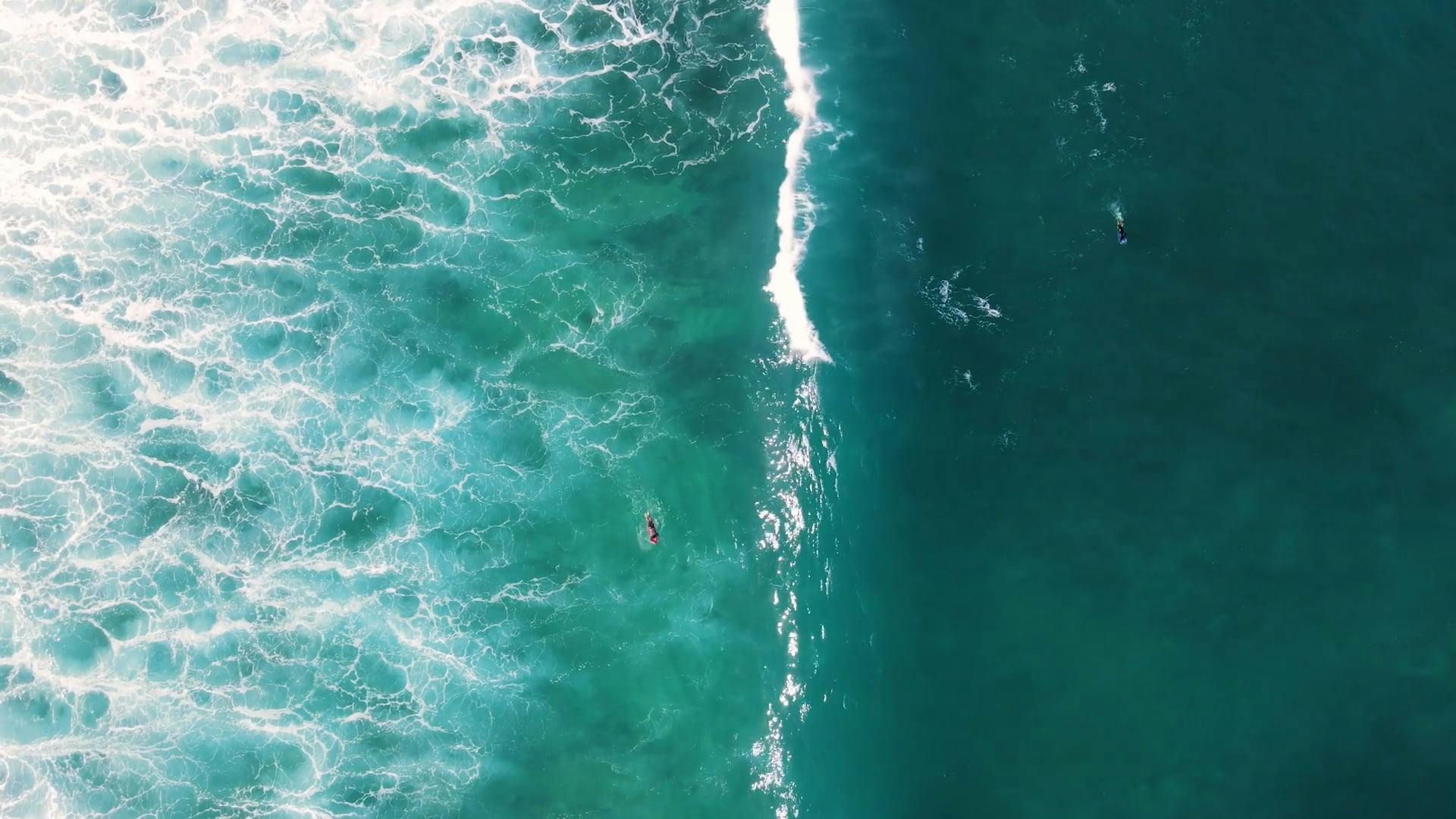 Daniel Torobekov - 摄影